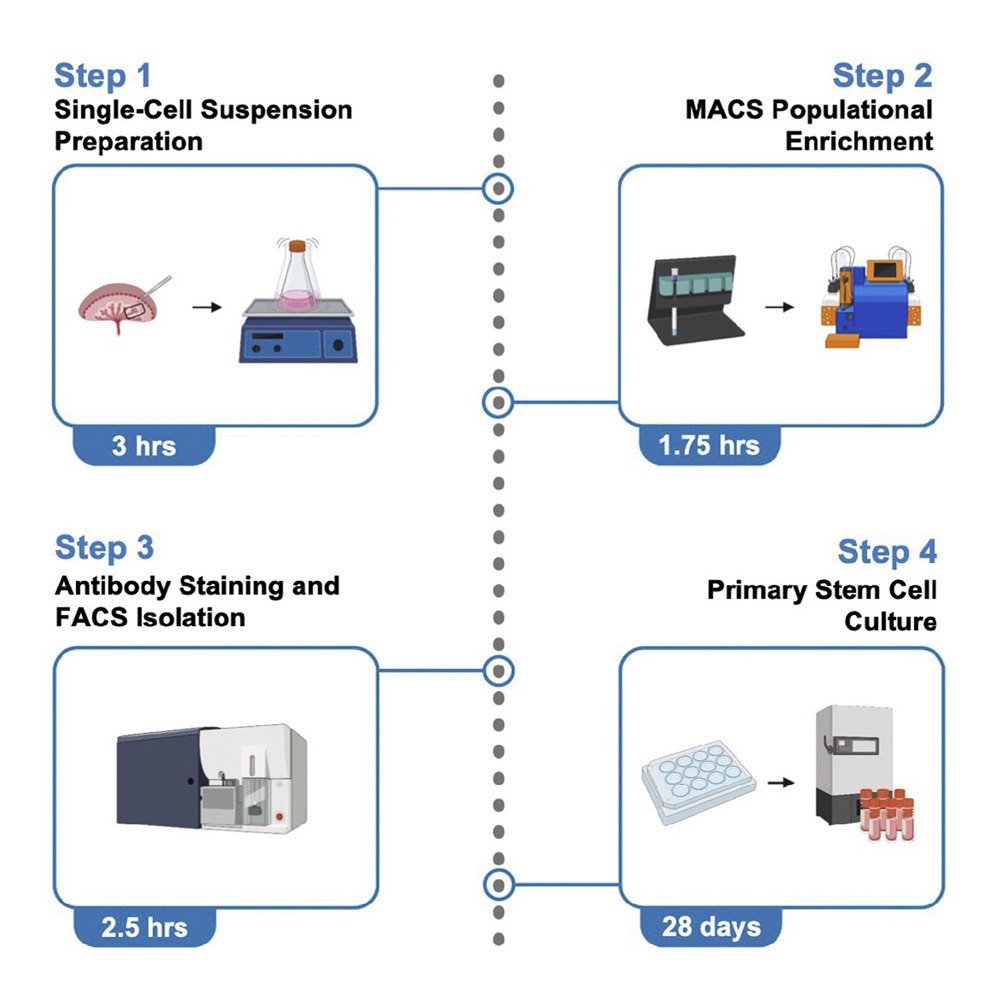Cell Press: STAR Protocols