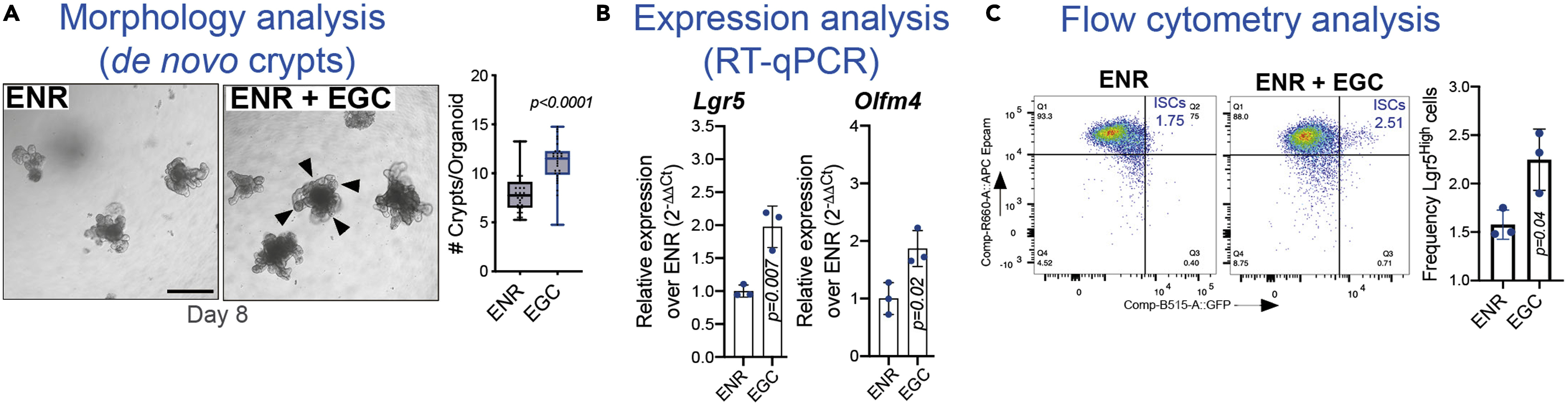 Cell Press: STAR Protocols
