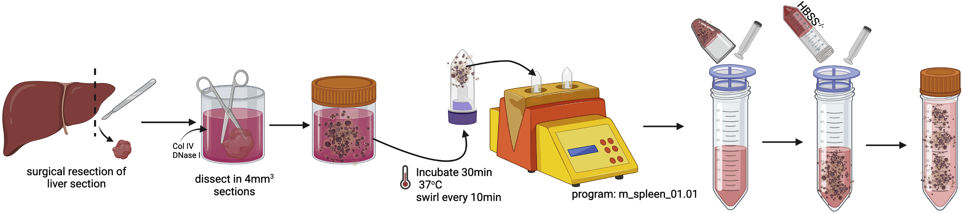 Cell Press: STAR Protocols