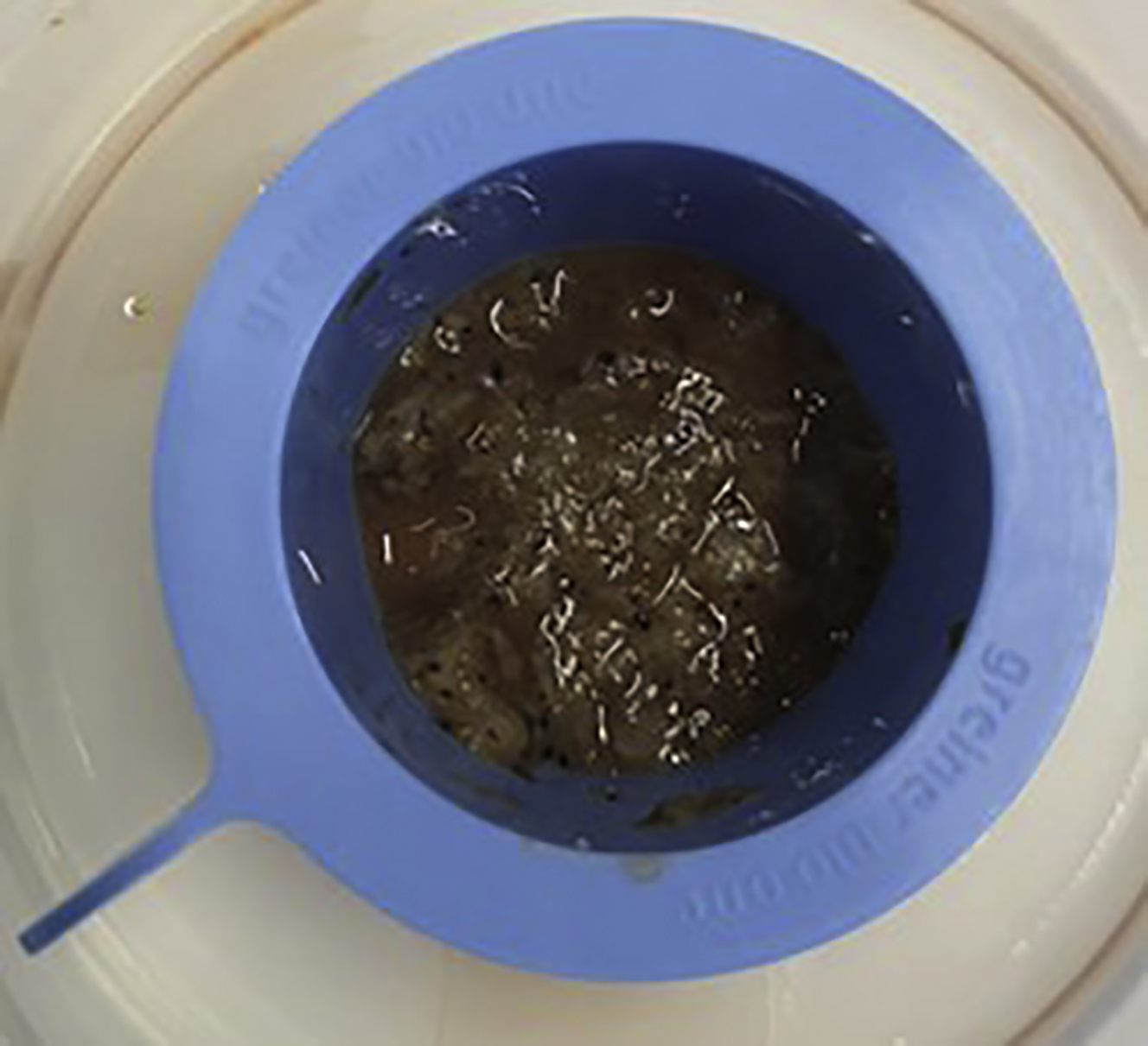 Cell Press: STAR Protocols