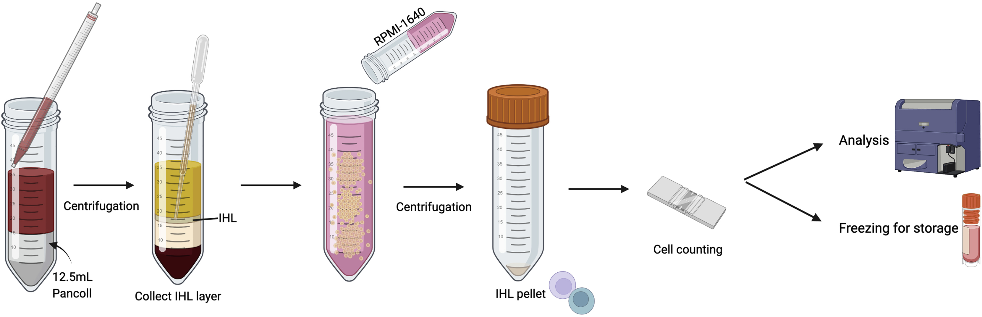 Cell Press: STAR Protocols