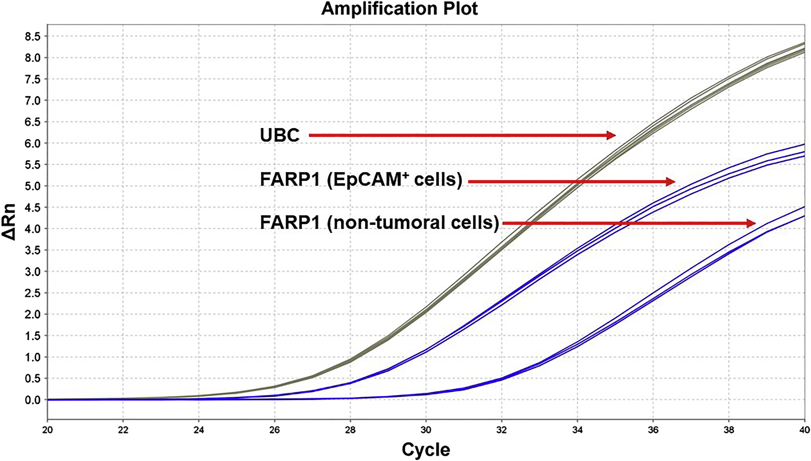Cell Press: STAR Protocols