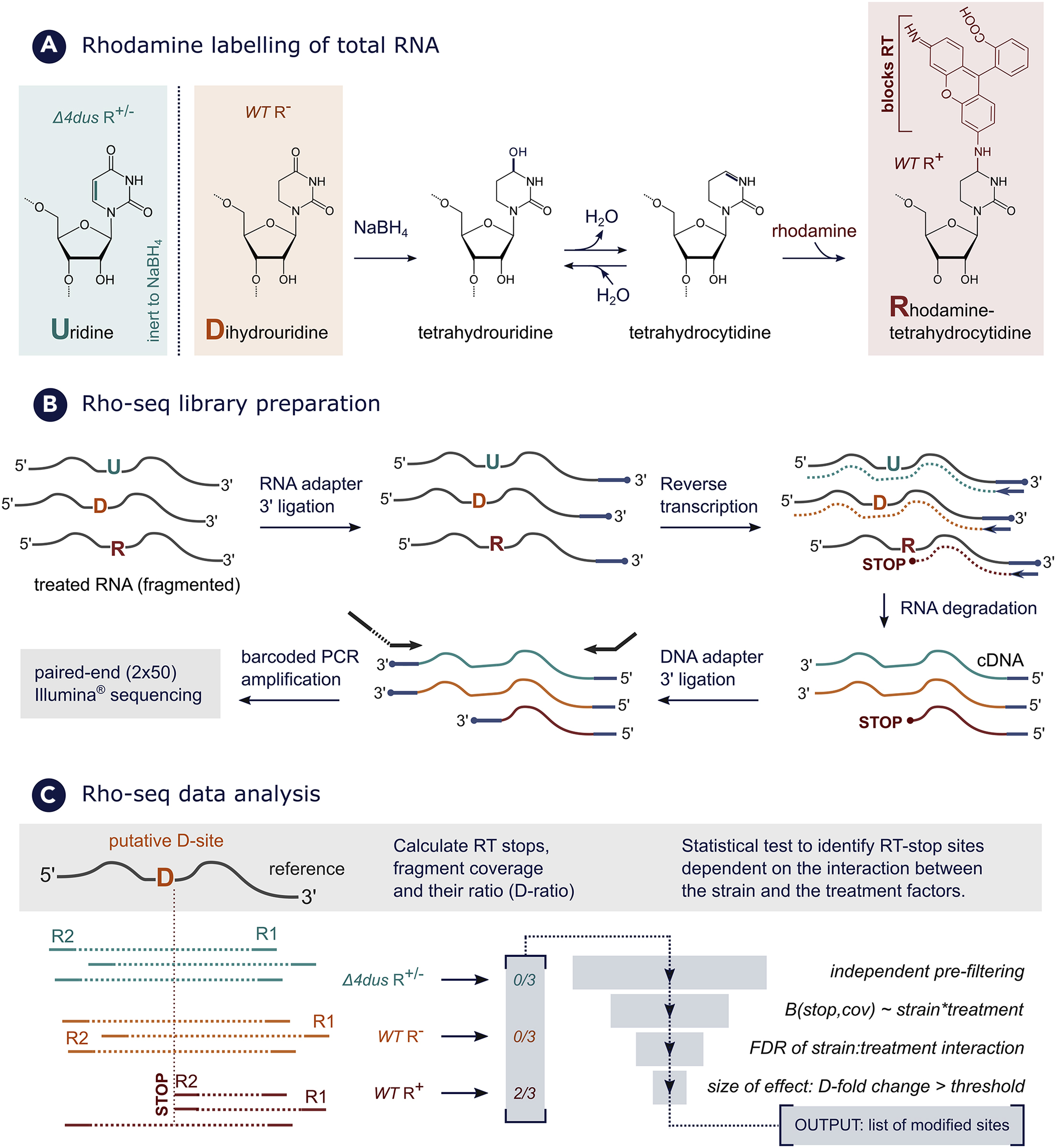 Cell Press: STAR Protocols