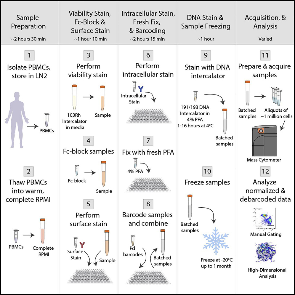 Cell Press: STAR Protocols