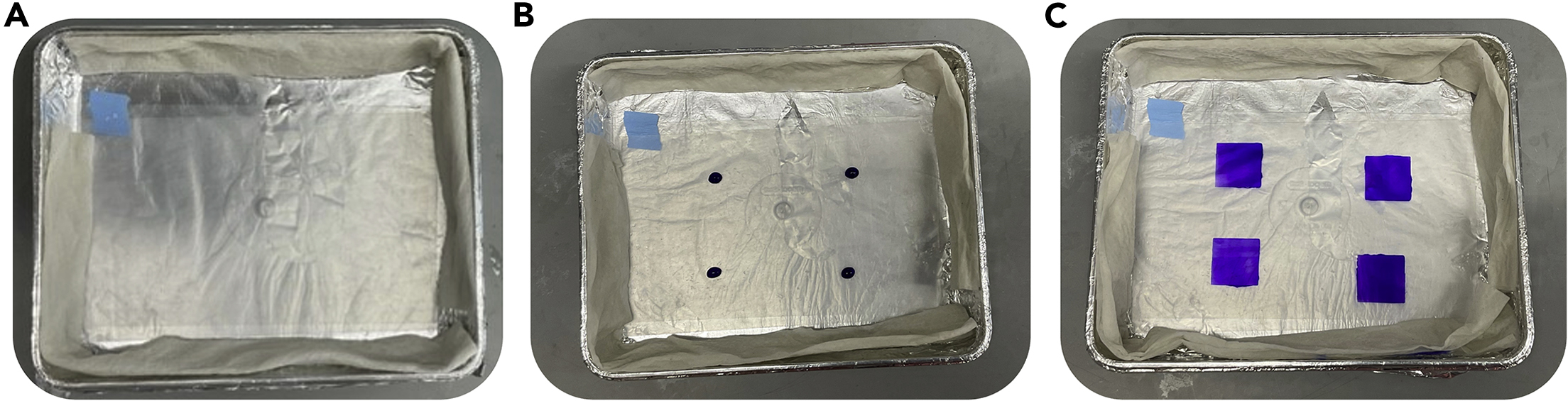 Cell Press: STAR Protocols