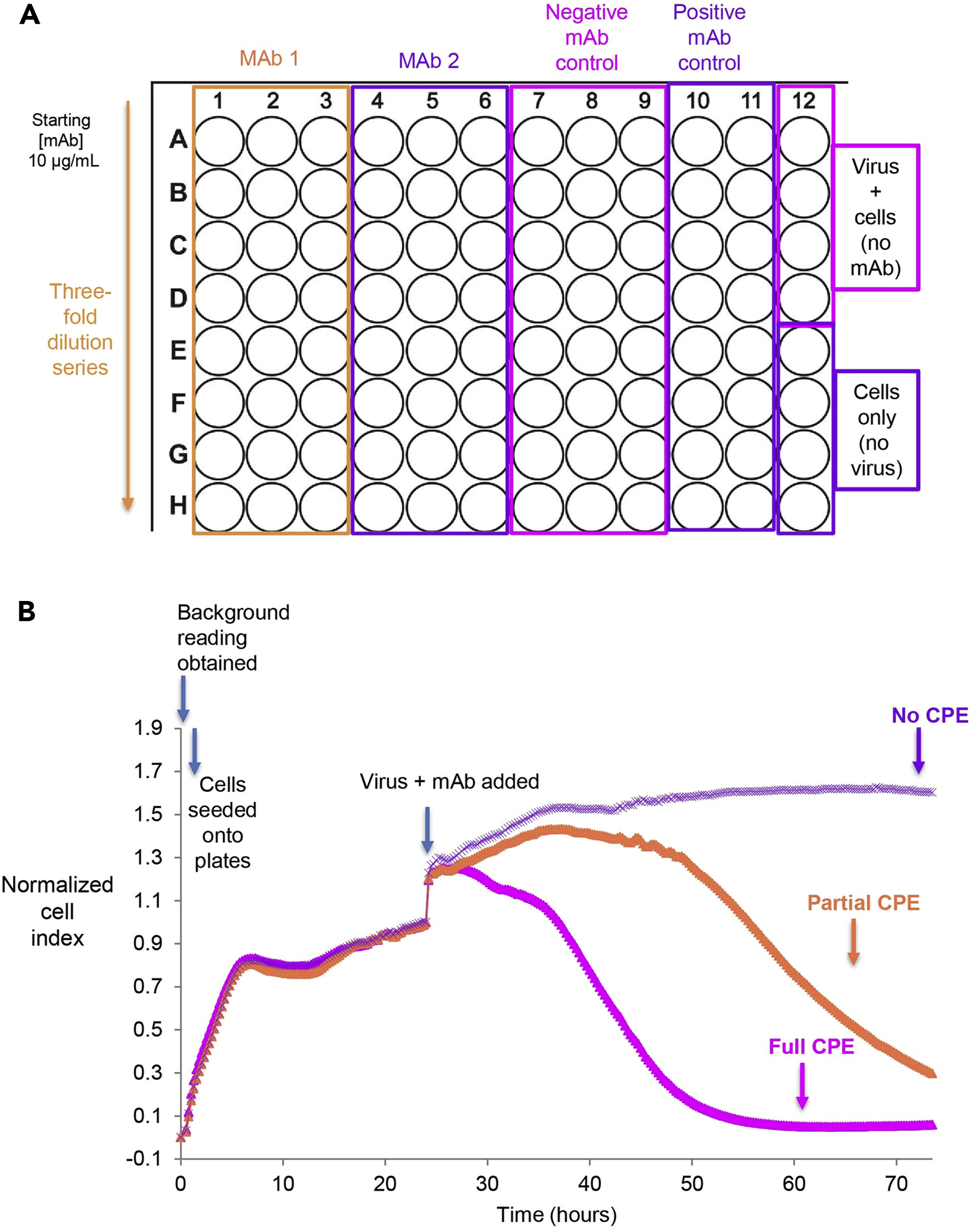 Cell Press: STAR Protocols