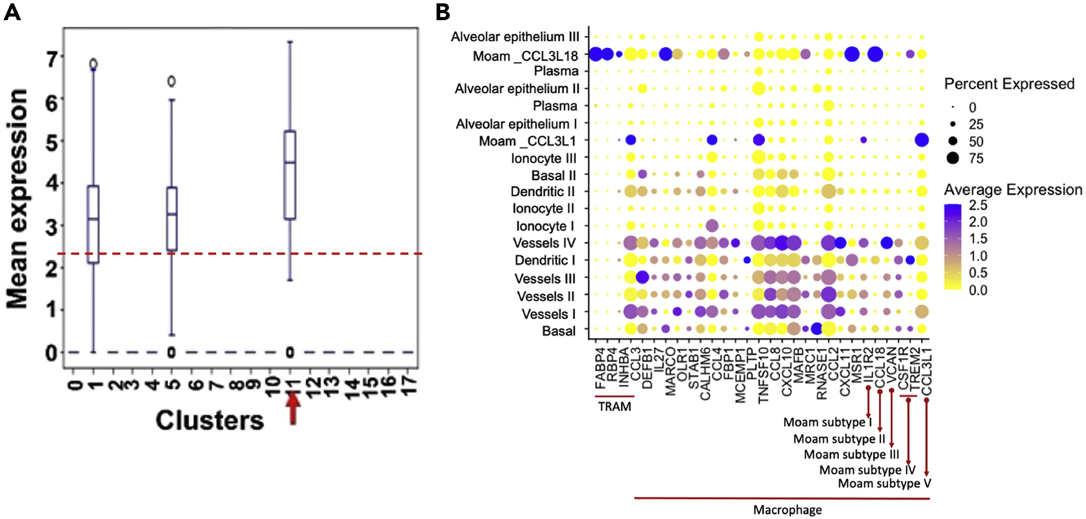 Cell Press: STAR Protocols