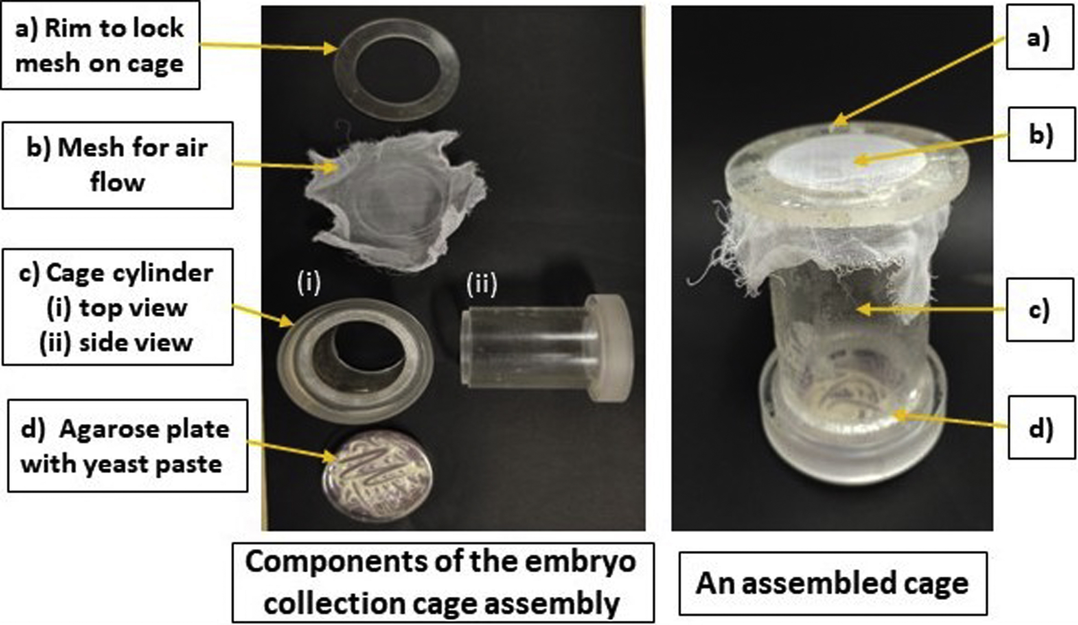 Cell Press: STAR Protocols
