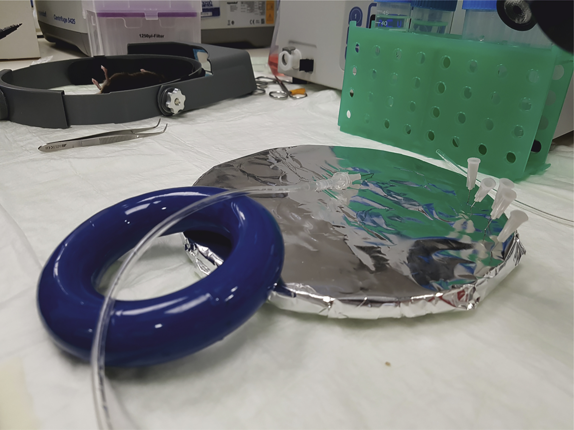 Cell Press: STAR Protocols