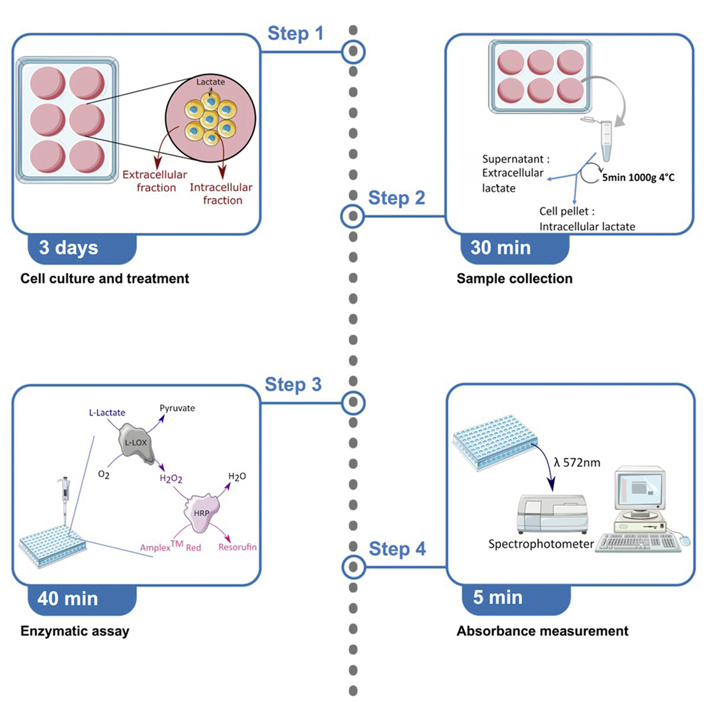 Cell Press: STAR Protocols
