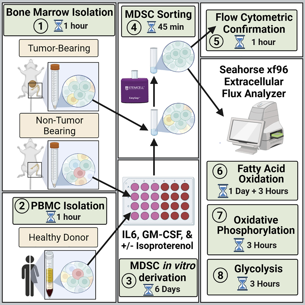 Cell Press: STAR Protocols