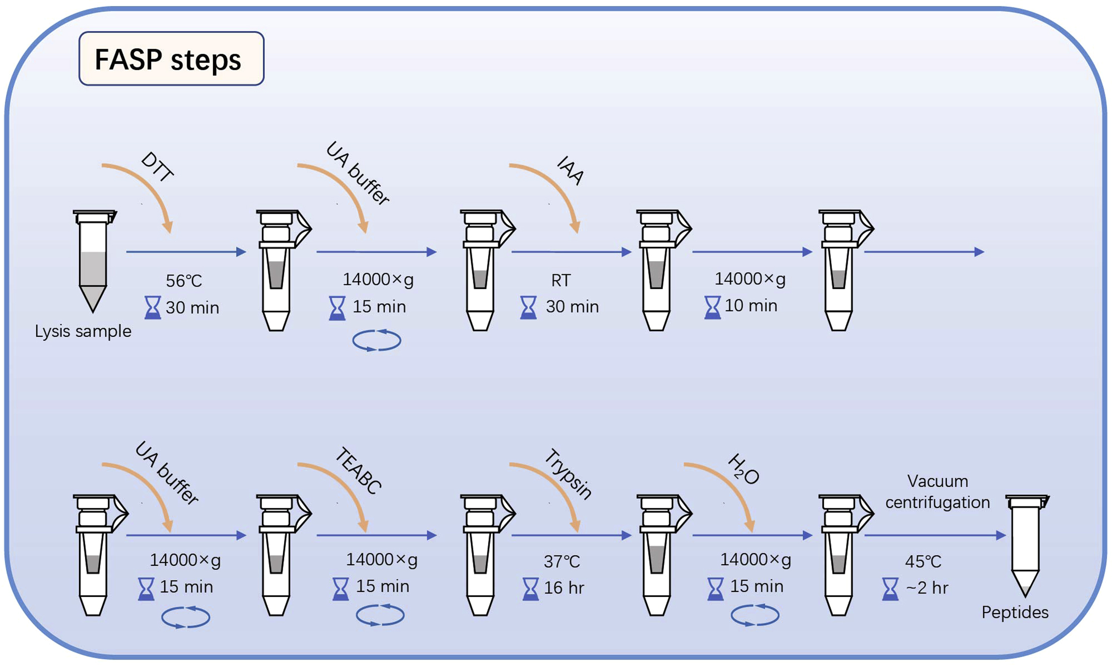 Cell Press: STAR Protocols