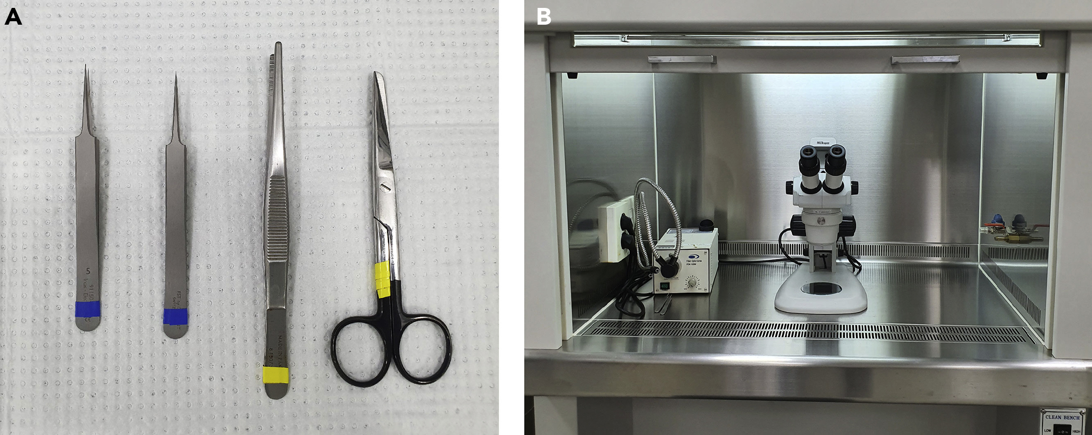 Cell Press: STAR Protocols