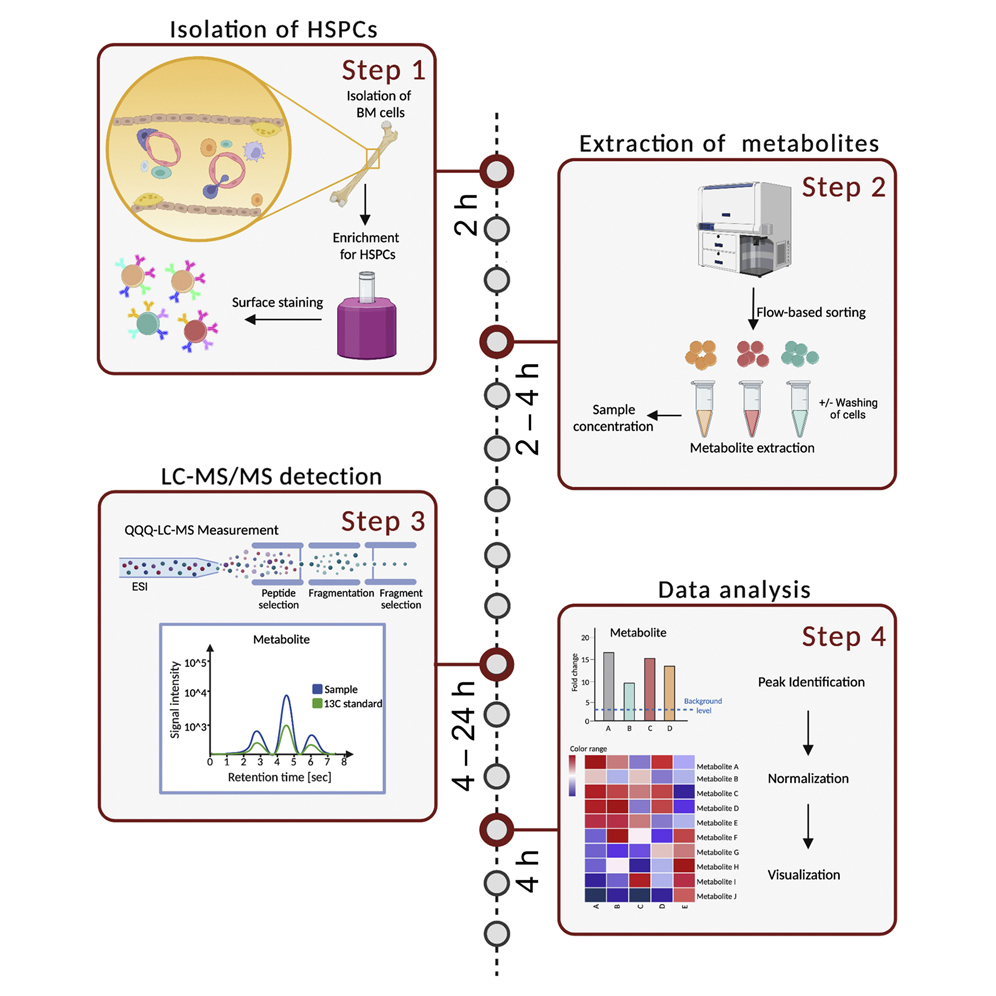 Cell Press: STAR Protocols