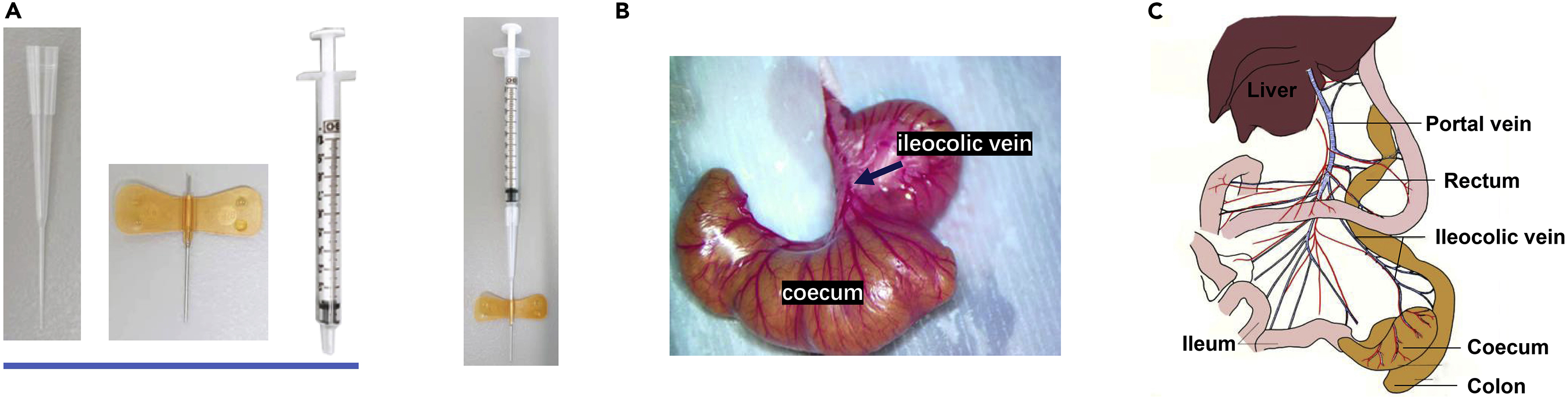 Cell Press: STAR Protocols
