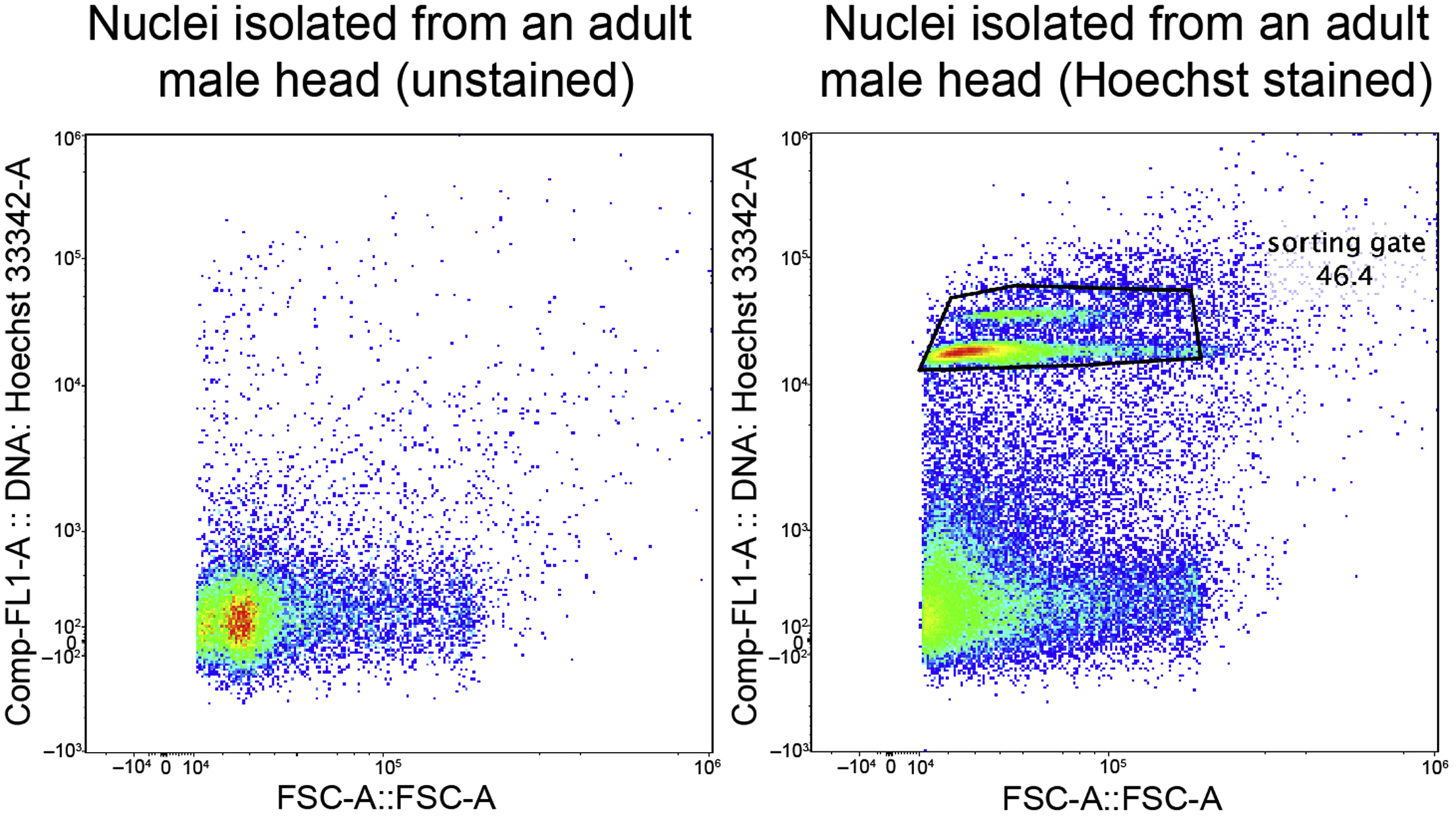 Cell Press: STAR Protocols
