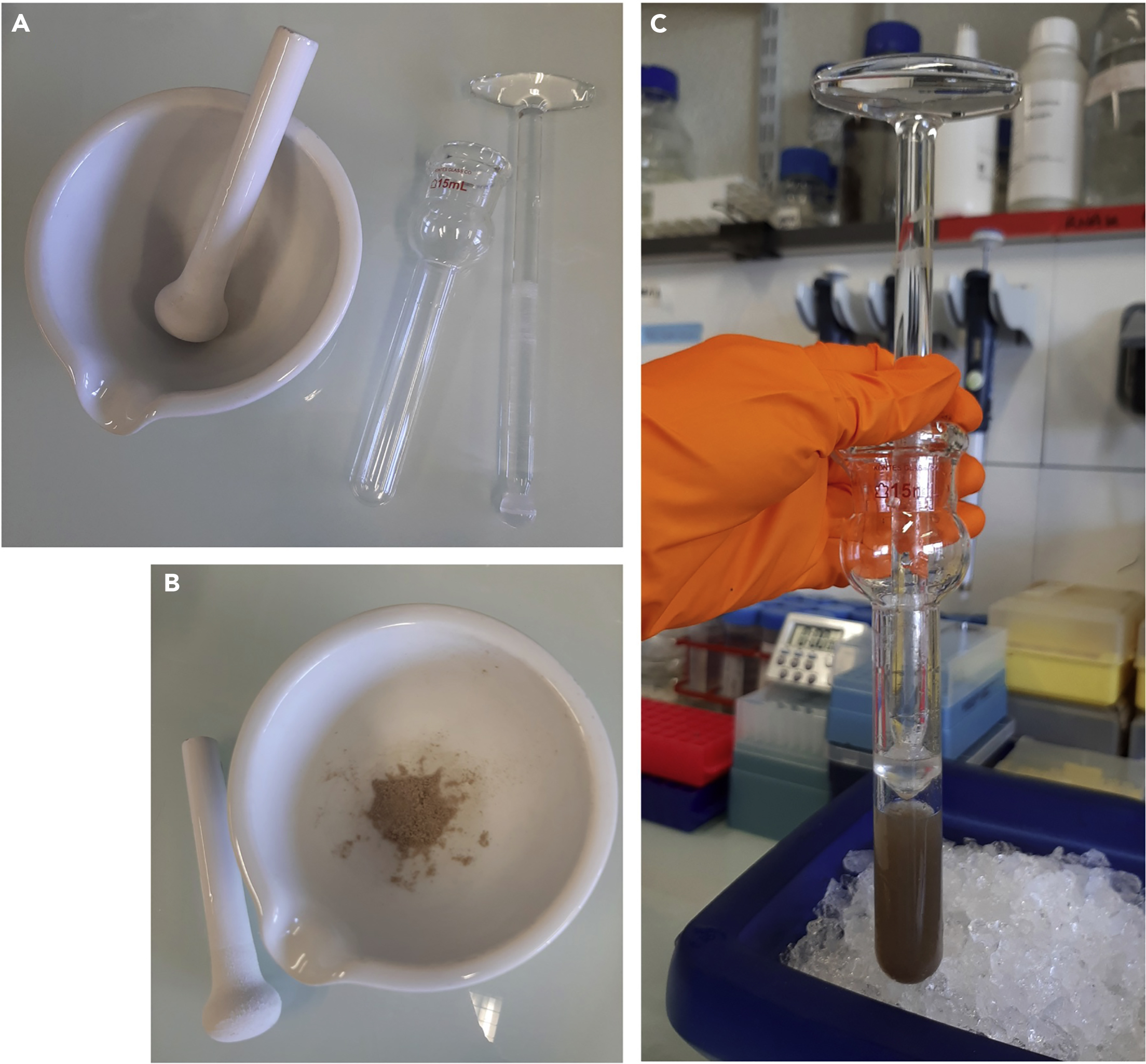 Cell Press: STAR Protocols