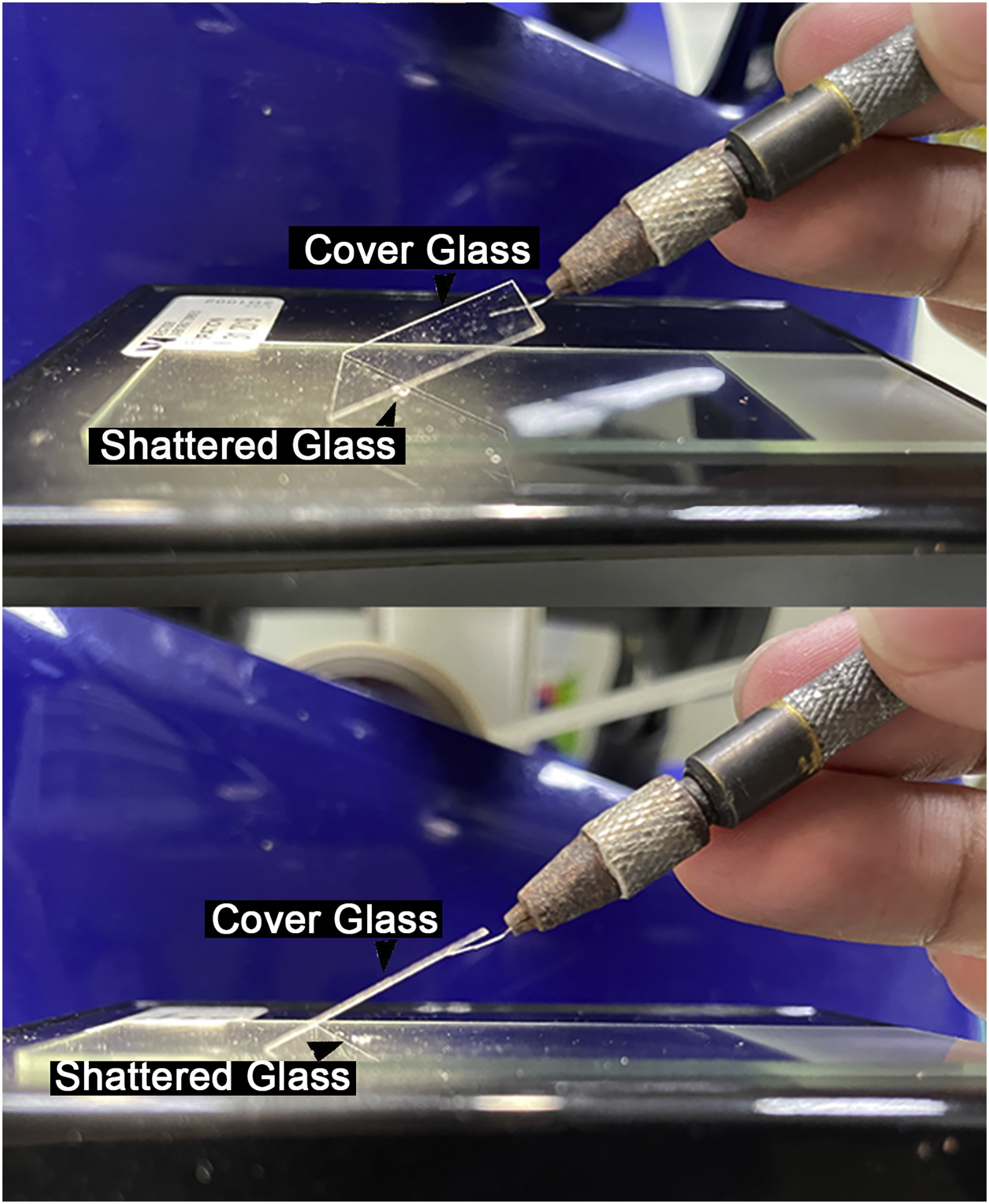 Cell Press: STAR Protocols