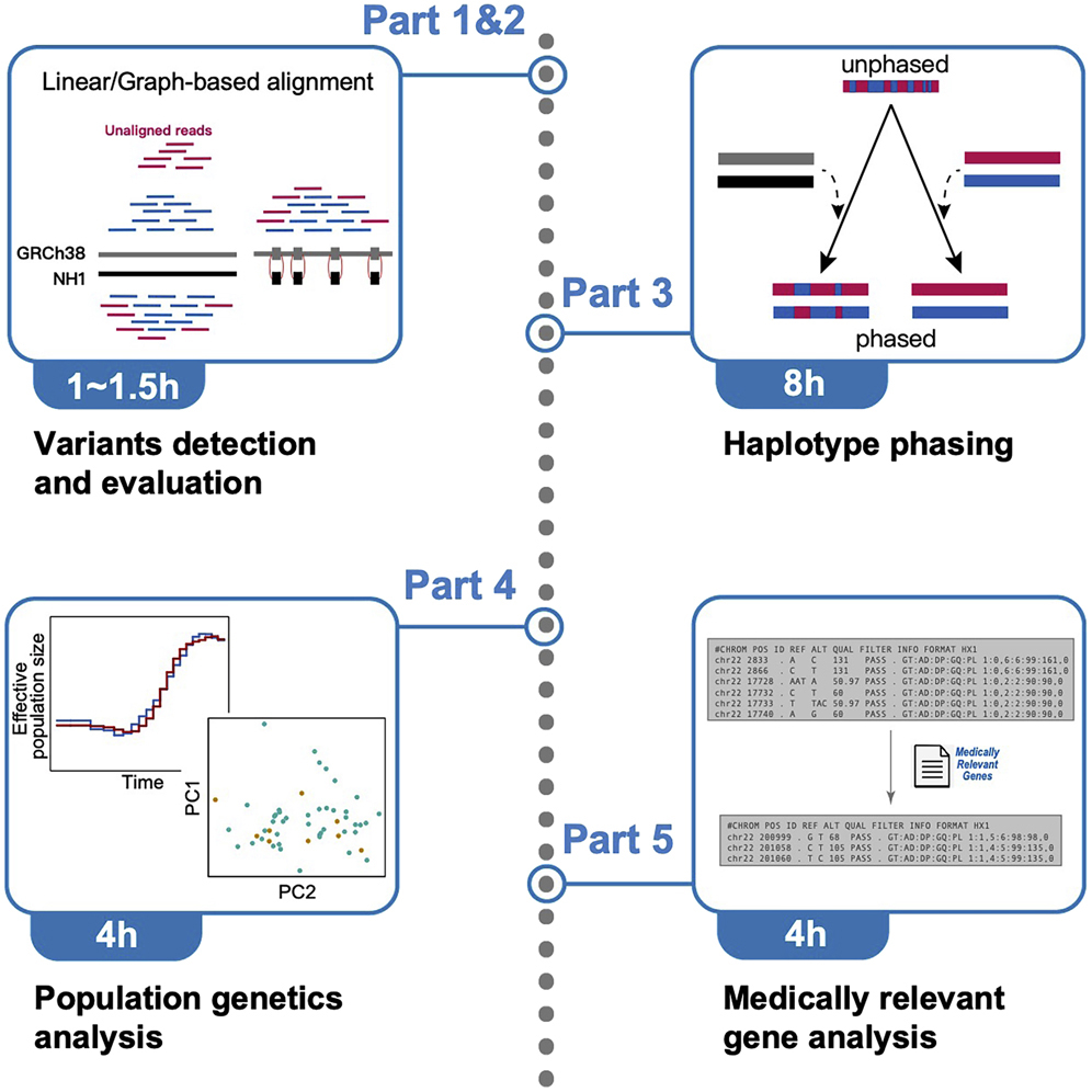 Cell Press: STAR Protocols
