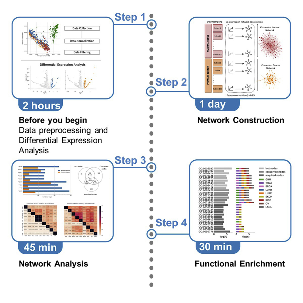 Cell Press: STAR Protocols