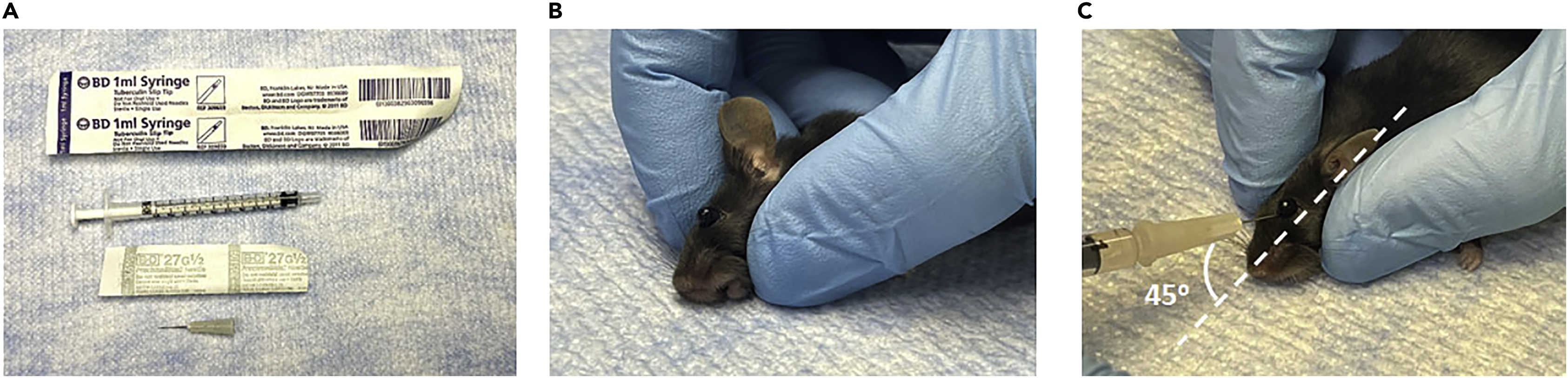 Cell Press: STAR Protocols