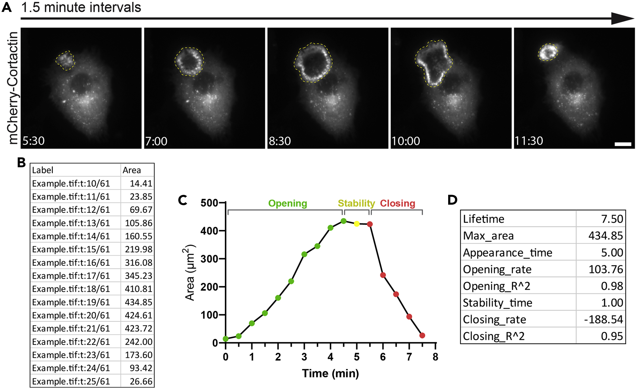 Cell Press: STAR Protocols