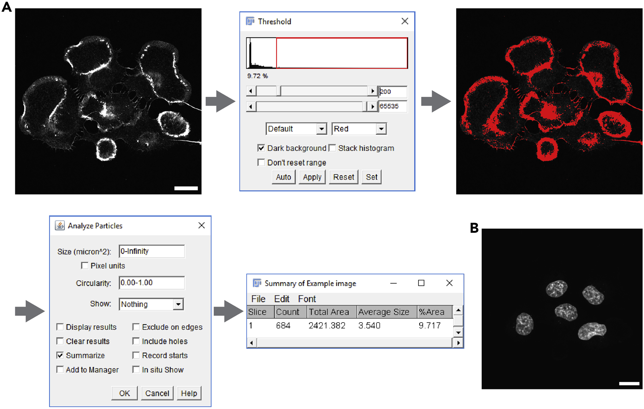 Cell Press: STAR Protocols