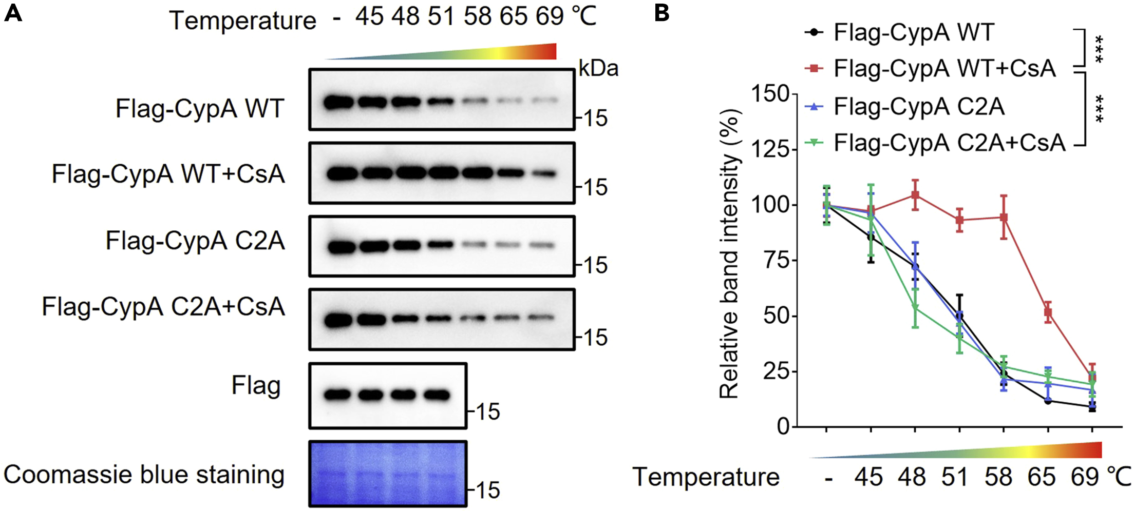 Cell Press: STAR Protocols