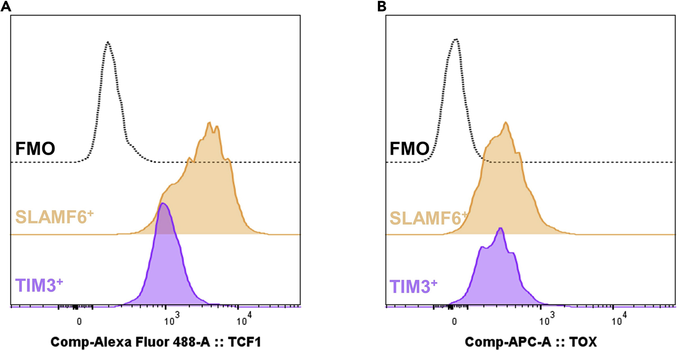 Cell Press: STAR Protocols
