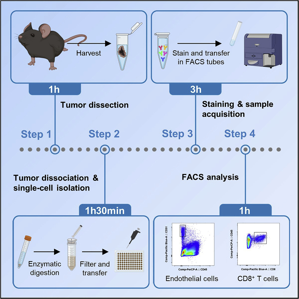 Cell Press: STAR Protocols
