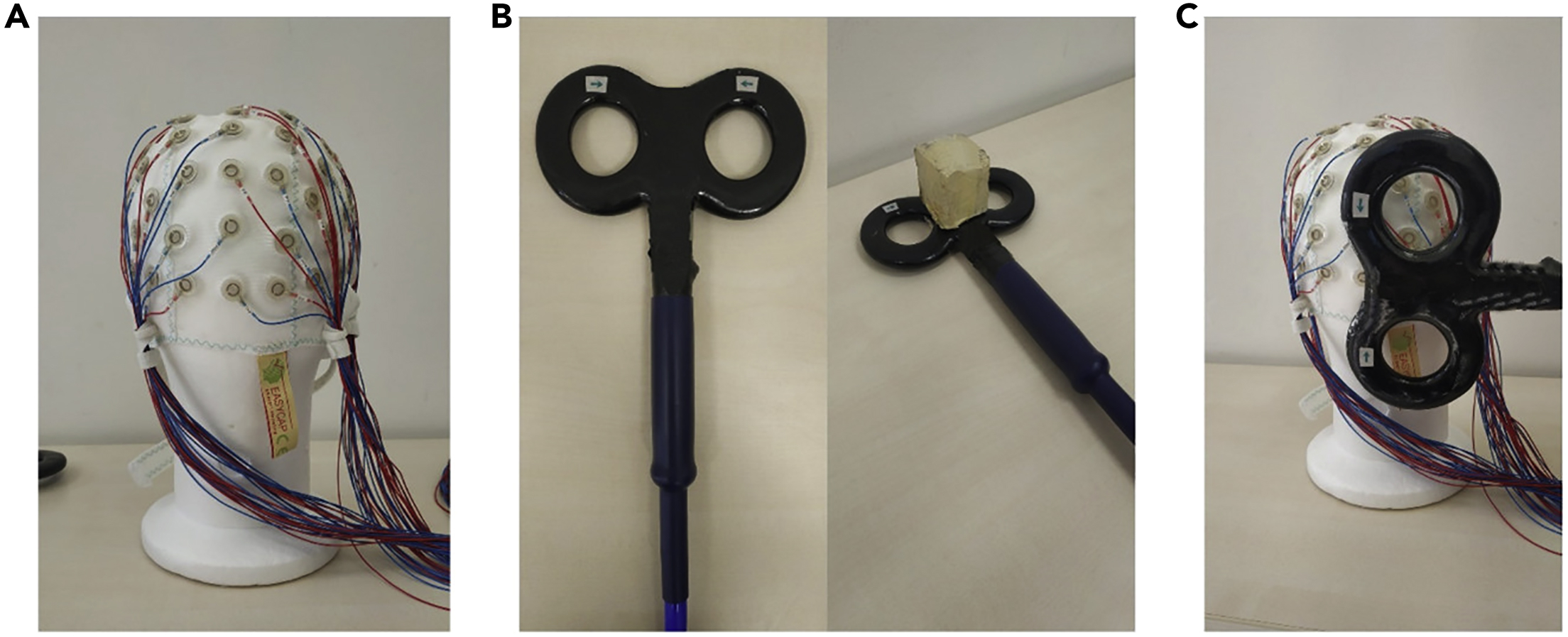 Cell Press: STAR Protocols
