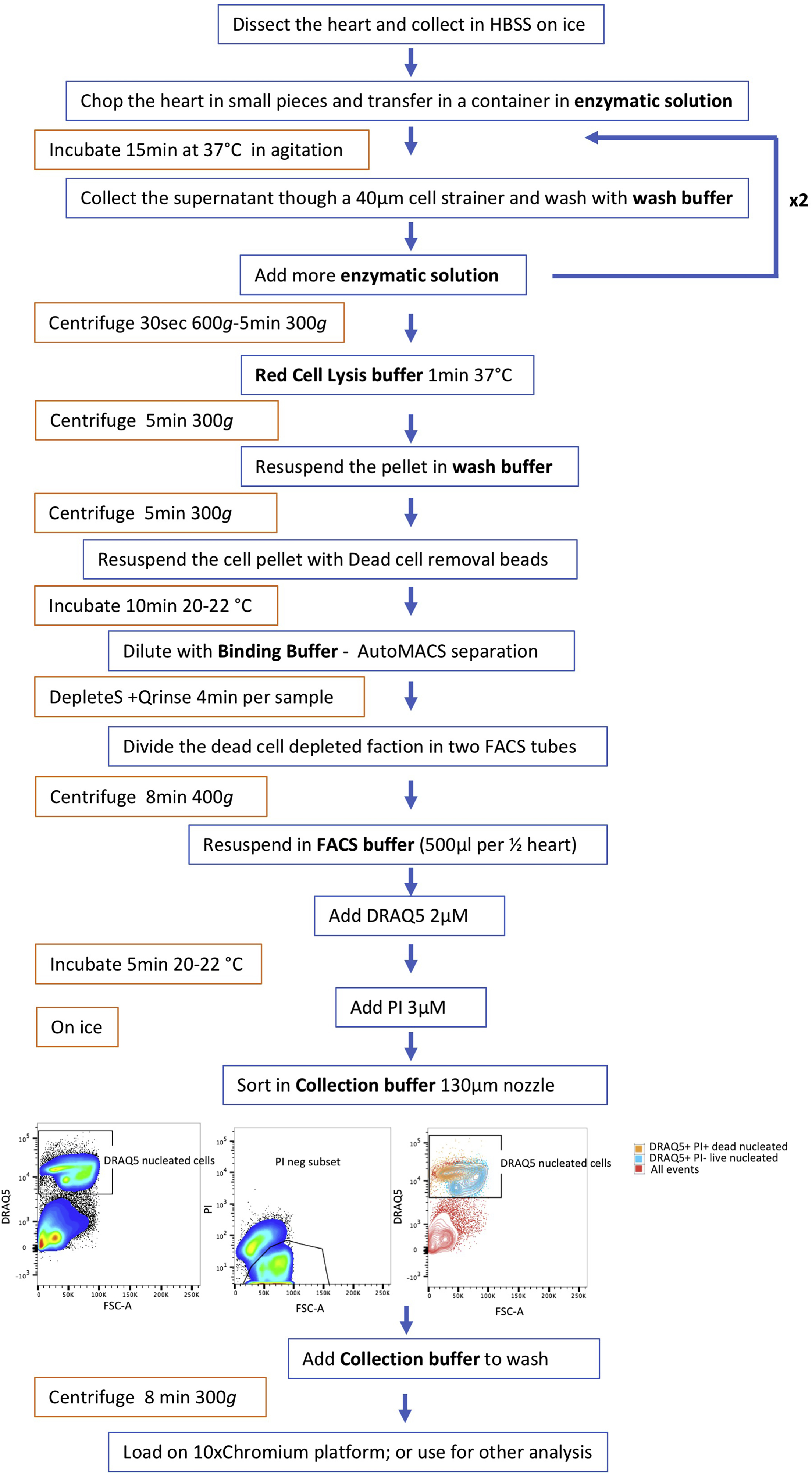 Cell Press: STAR Protocols