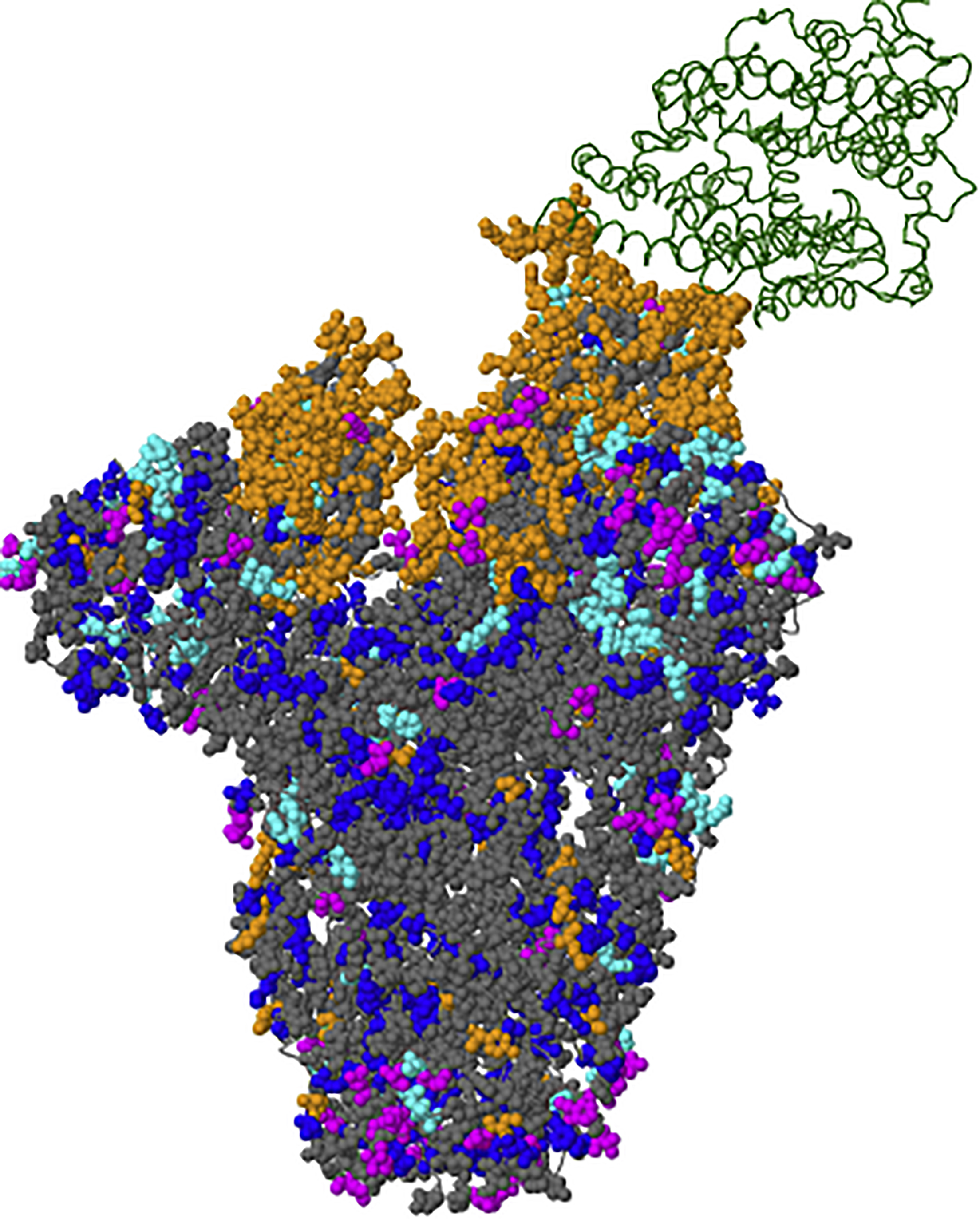 Cell Press: STAR Protocols