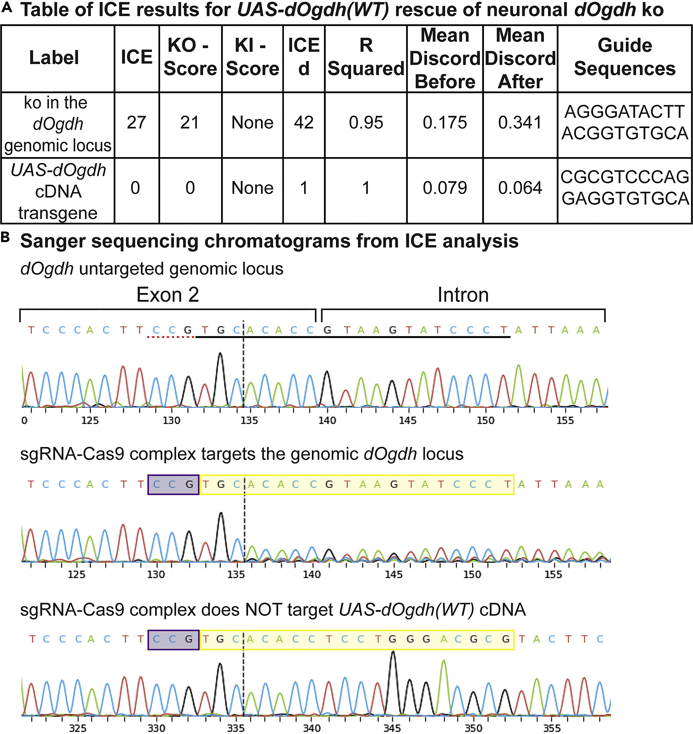 Cell Press: STAR Protocols