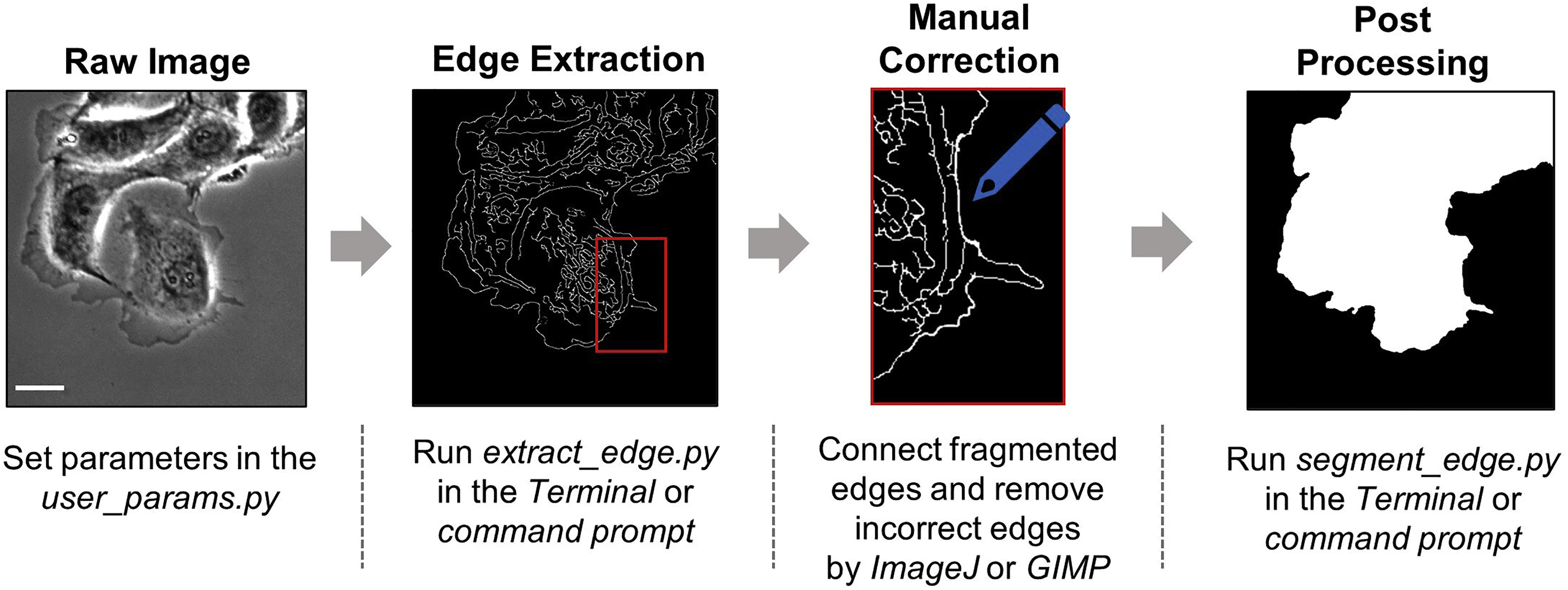 Cell Press: STAR Protocols