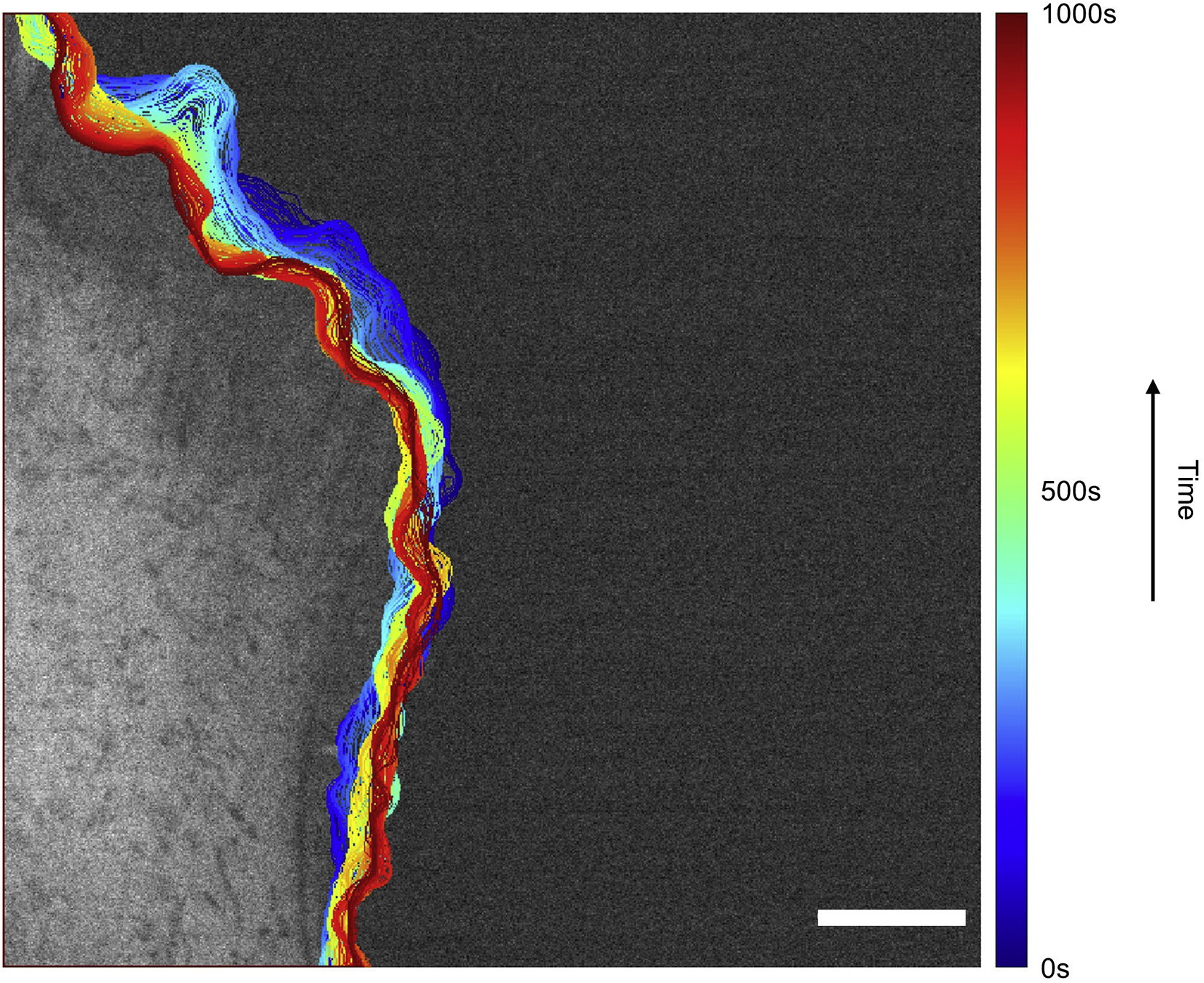 Cell Press: STAR Protocols