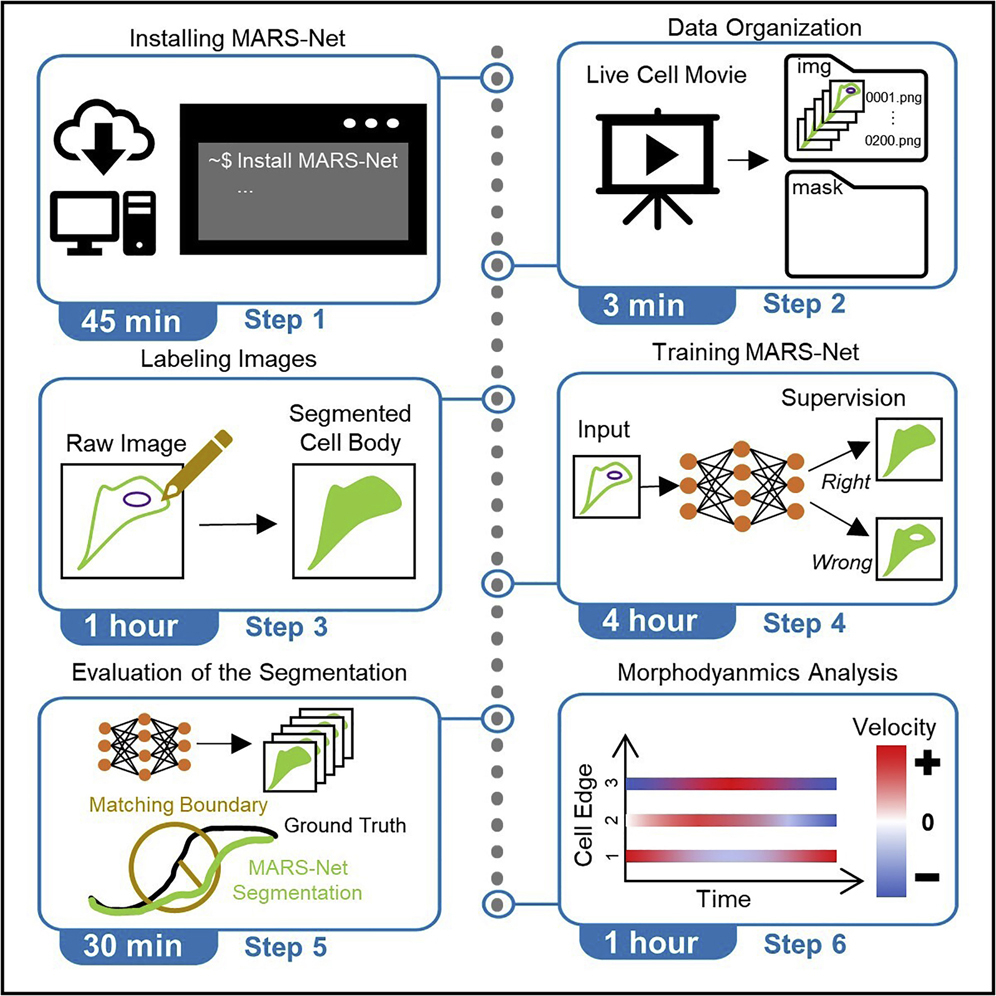 Cell Press: STAR Protocols