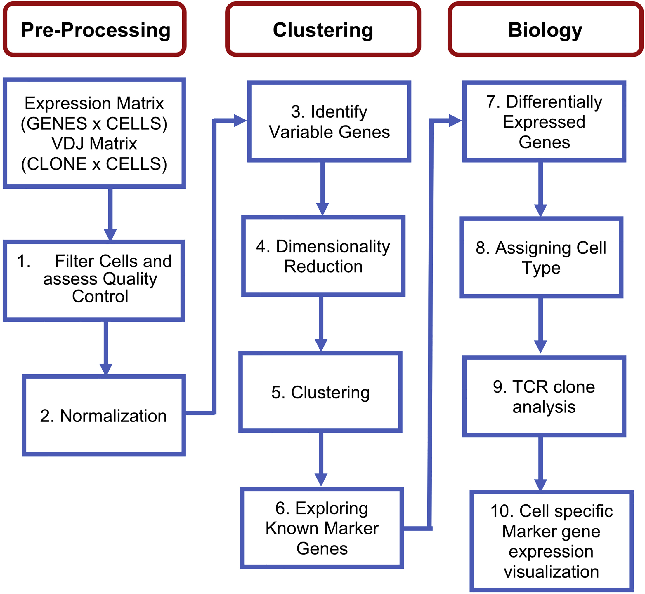 Cell Press: STAR Protocols