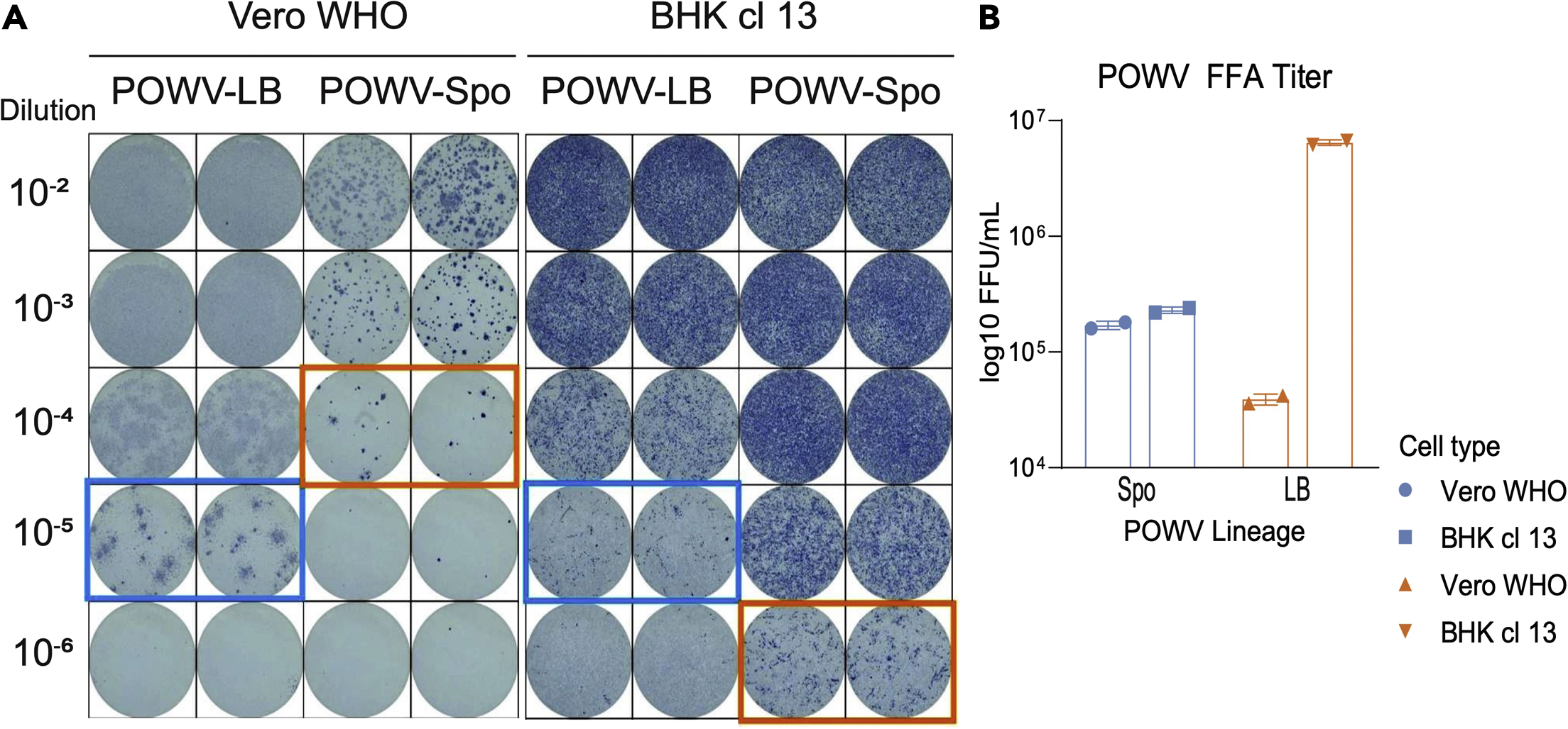 Cell Press: STAR Protocols