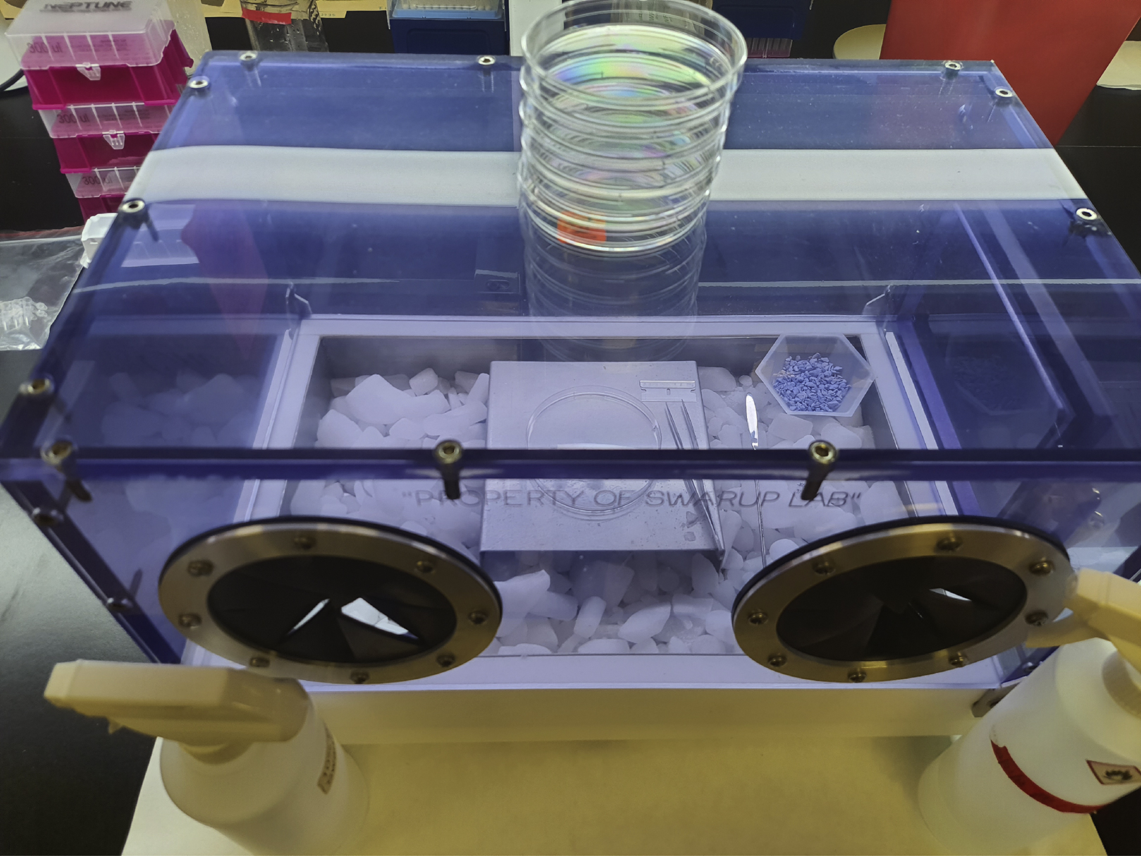 Cell Press: STAR Protocols