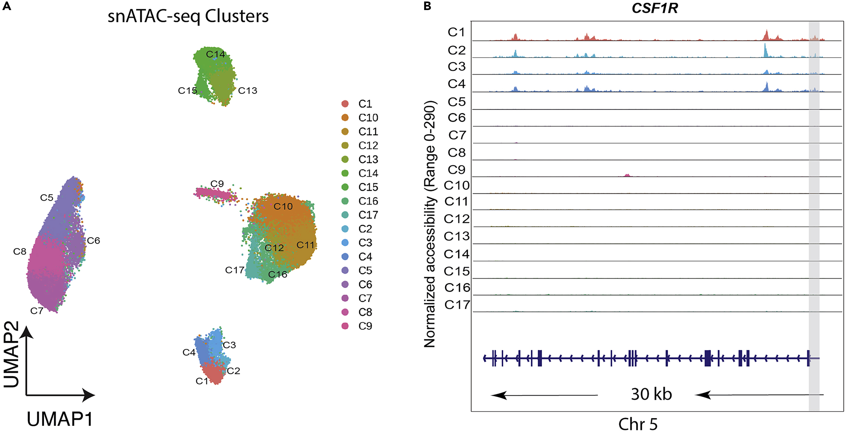 Cell Press: STAR Protocols