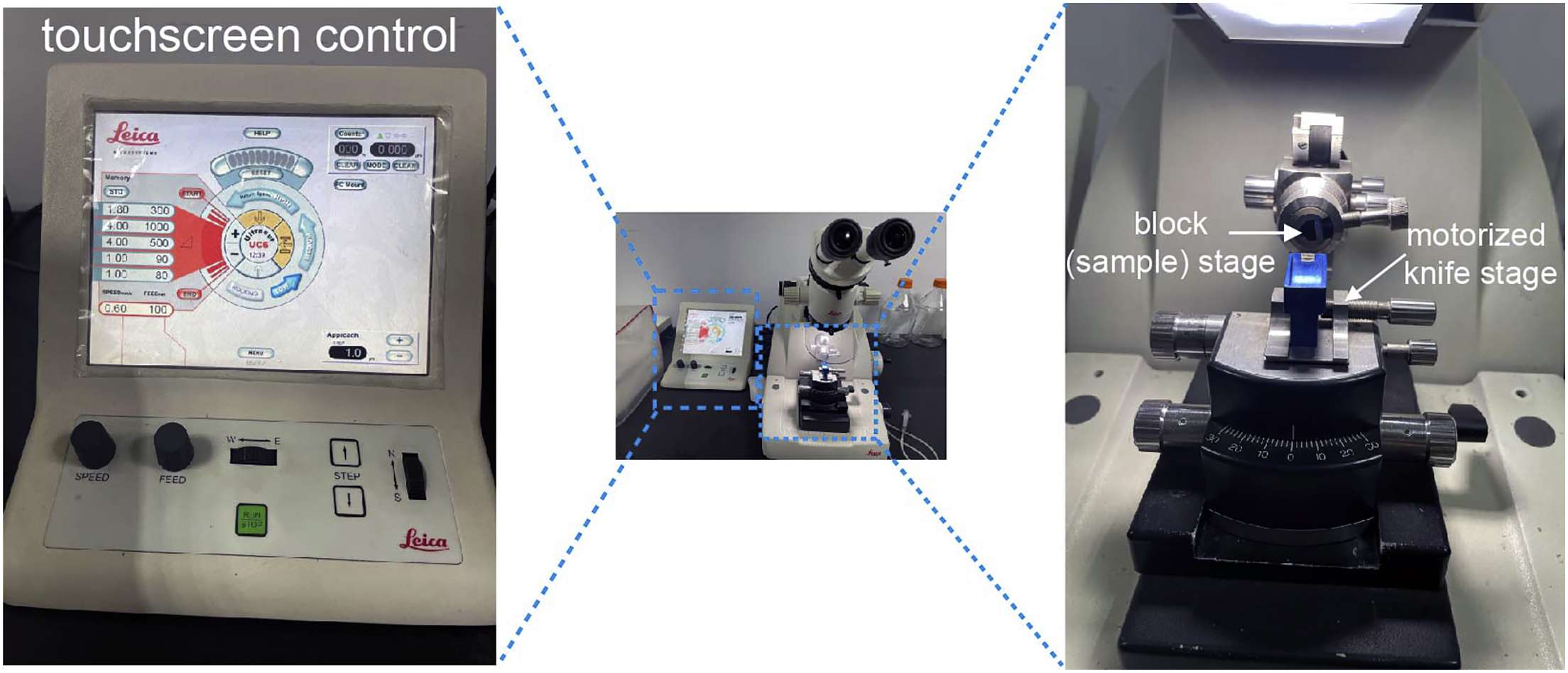 Cell Press: STAR Protocols