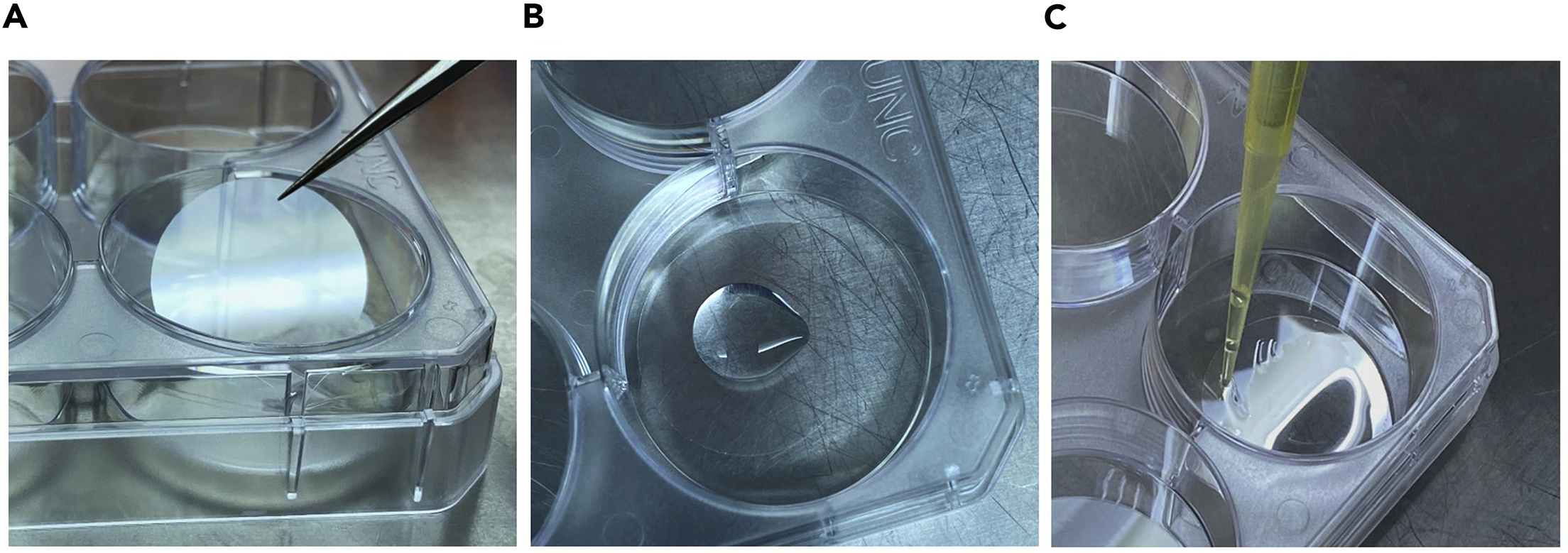 Cell Press: STAR Protocols
