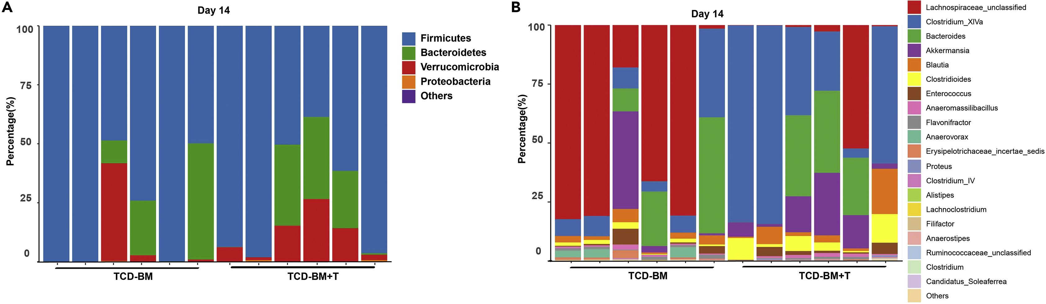 Cell Press: STAR Protocols