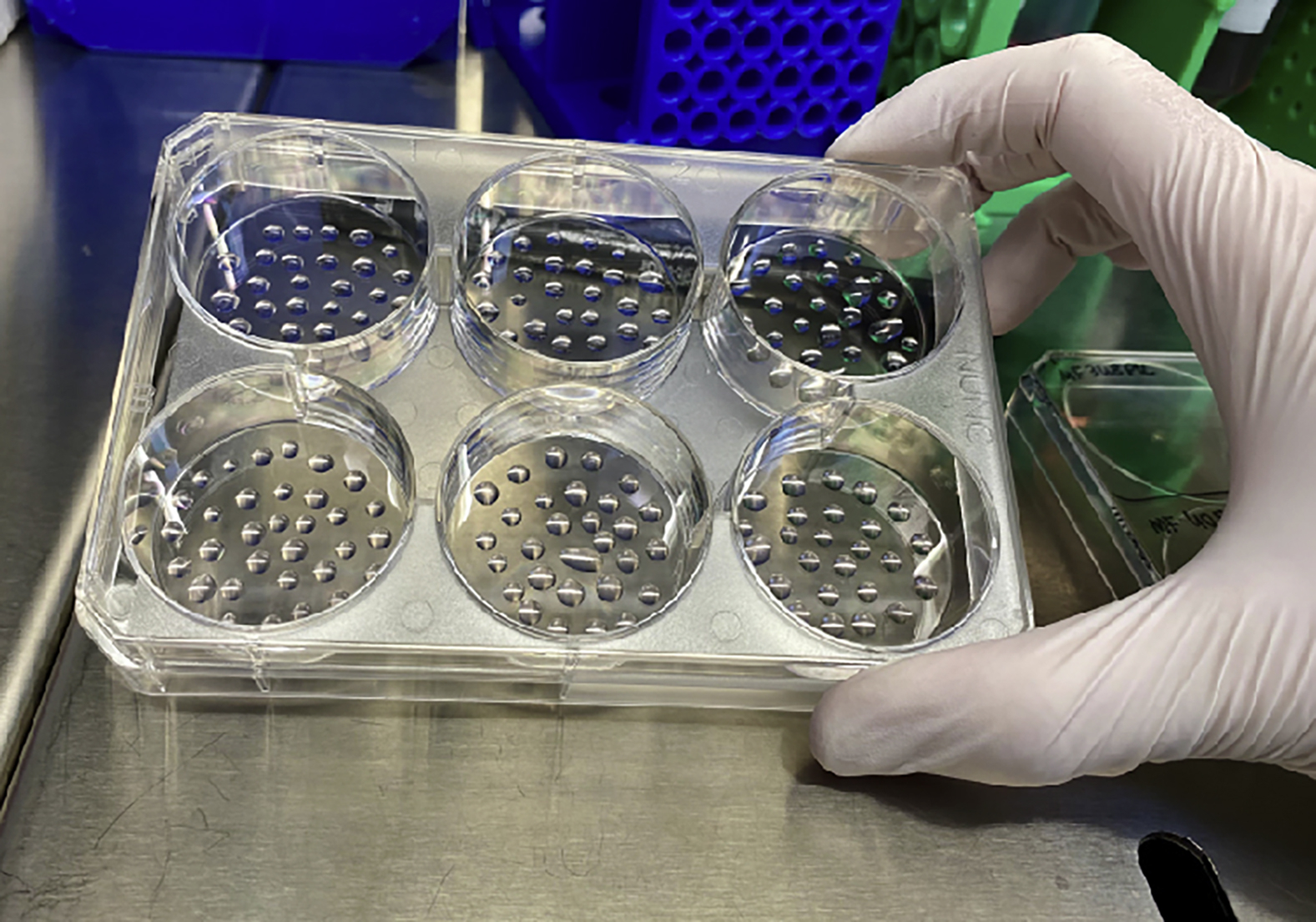 Cell Press: STAR Protocols