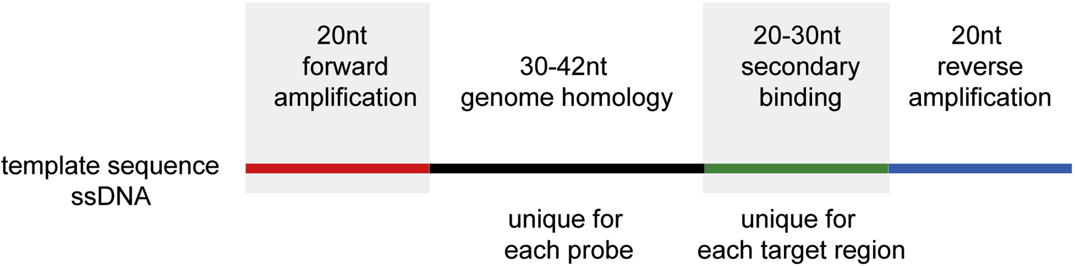 Cell Press: STAR Protocols