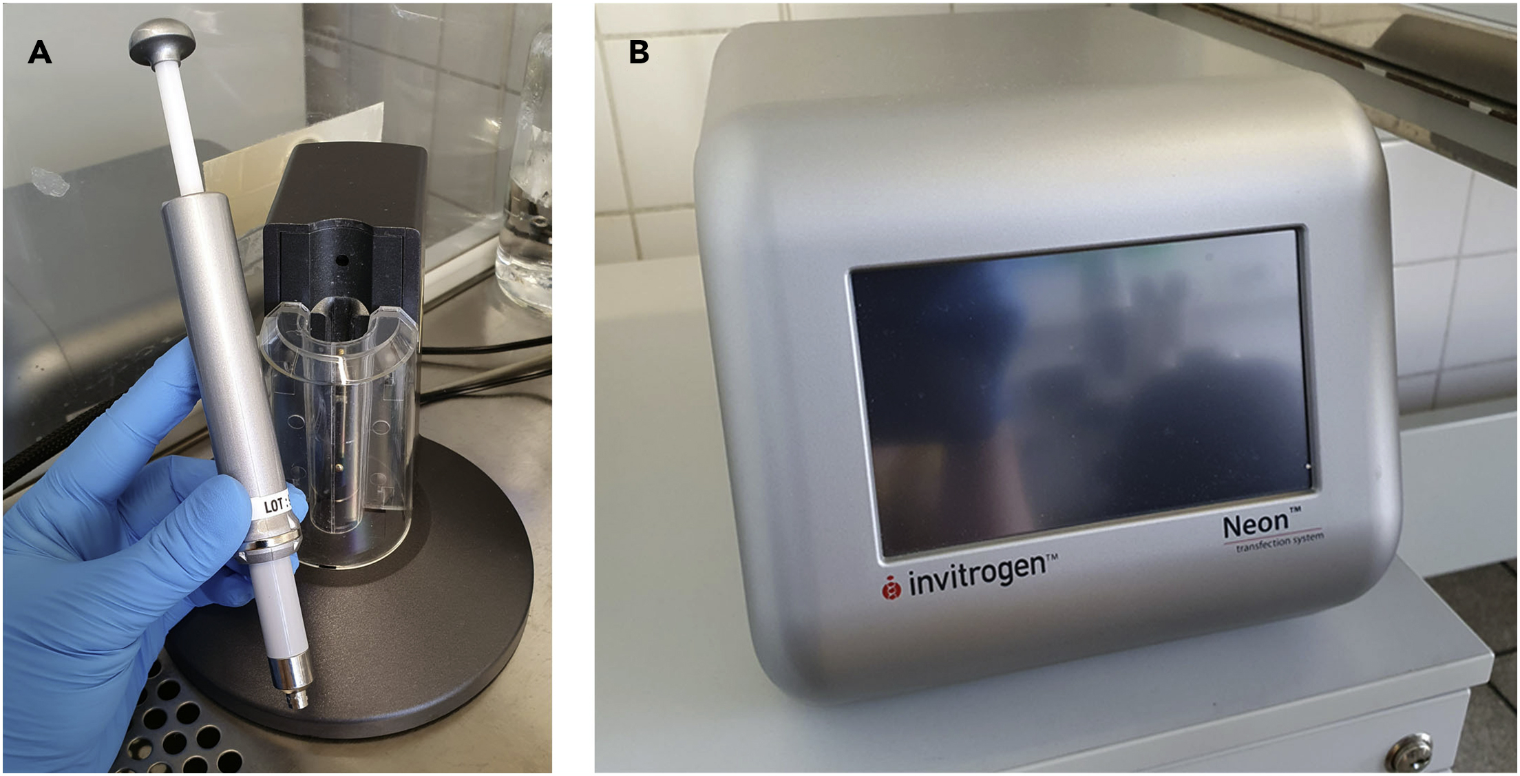 Cell Press: STAR Protocols