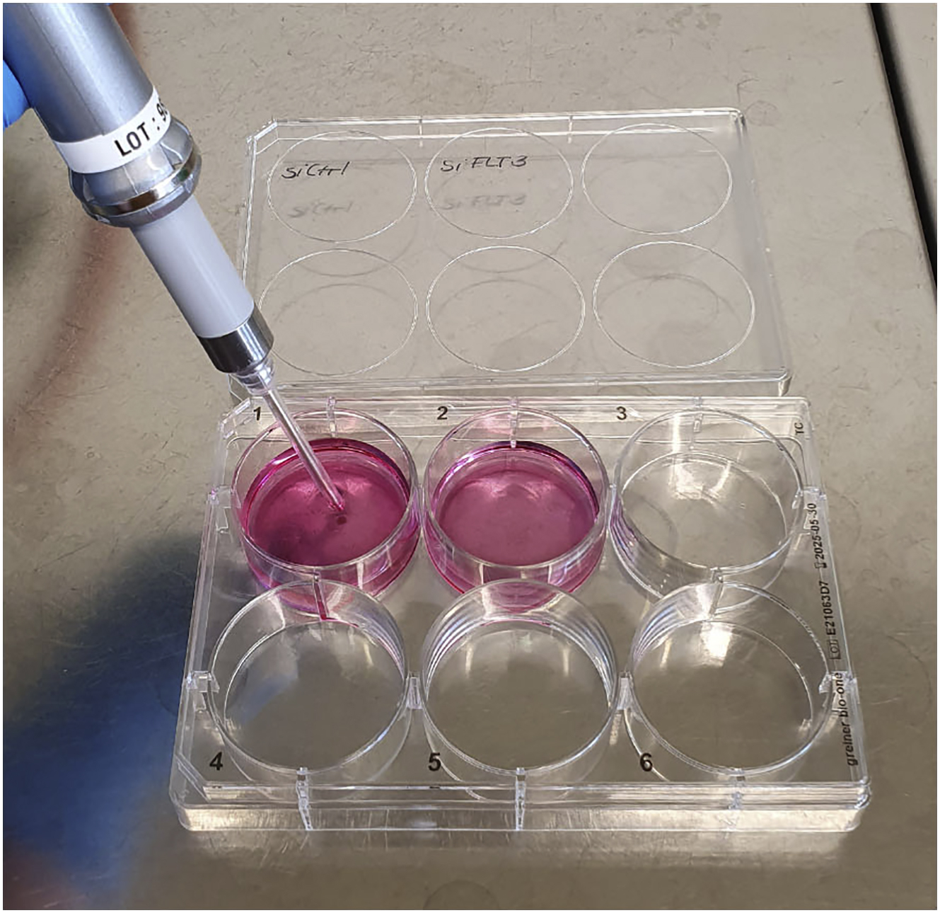 Cell Press: STAR Protocols