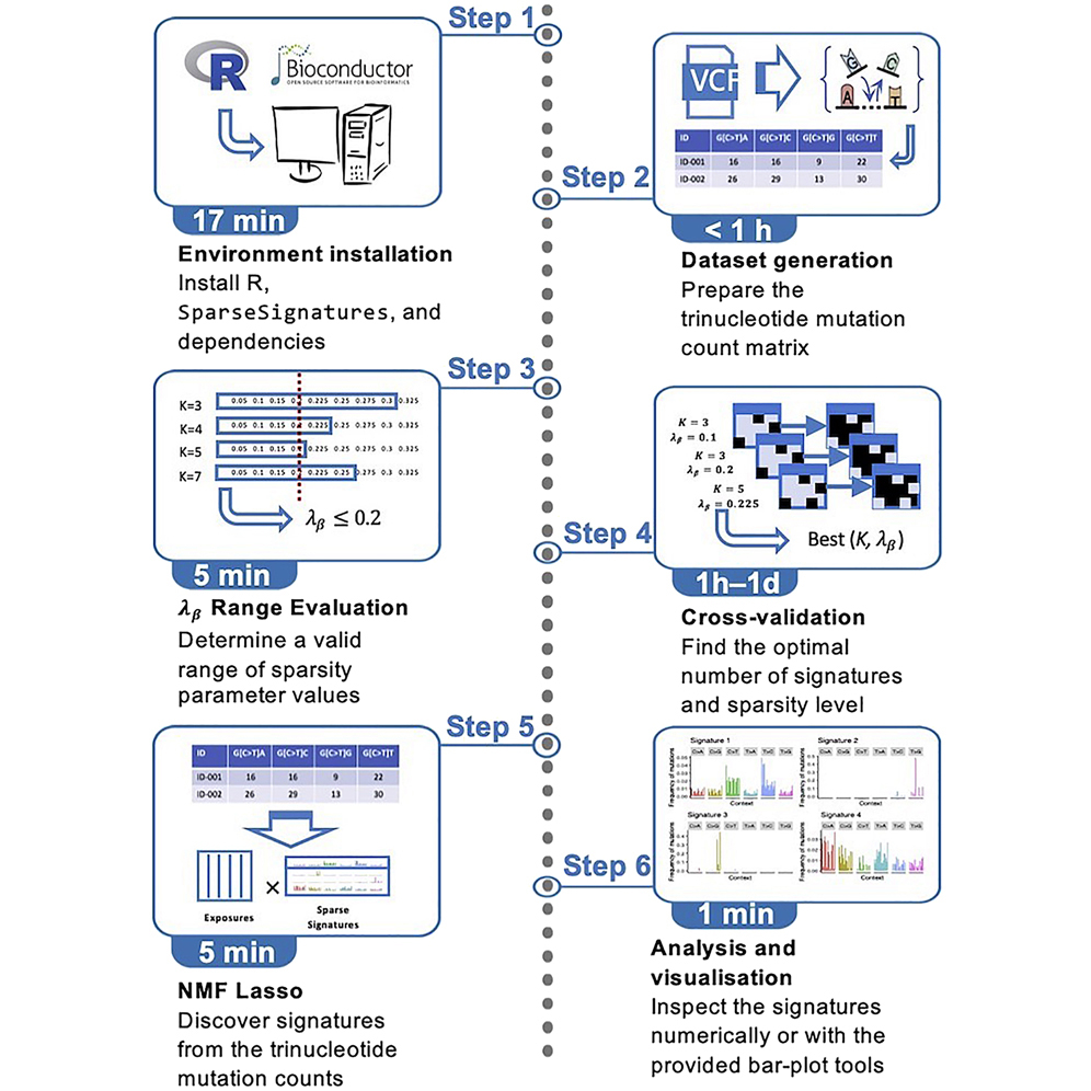 Cell Press: STAR Protocols