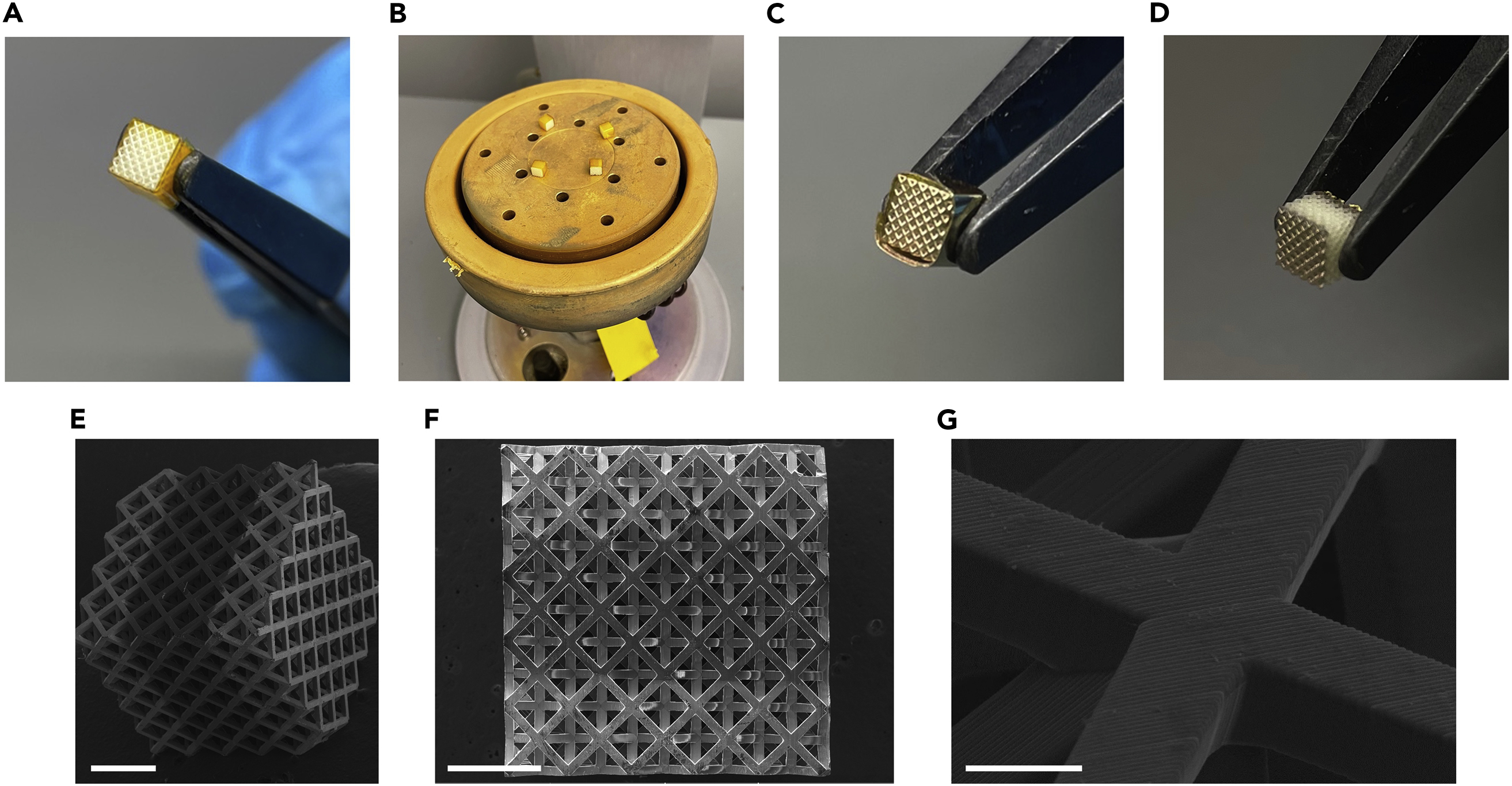 Cell Press: STAR Protocols